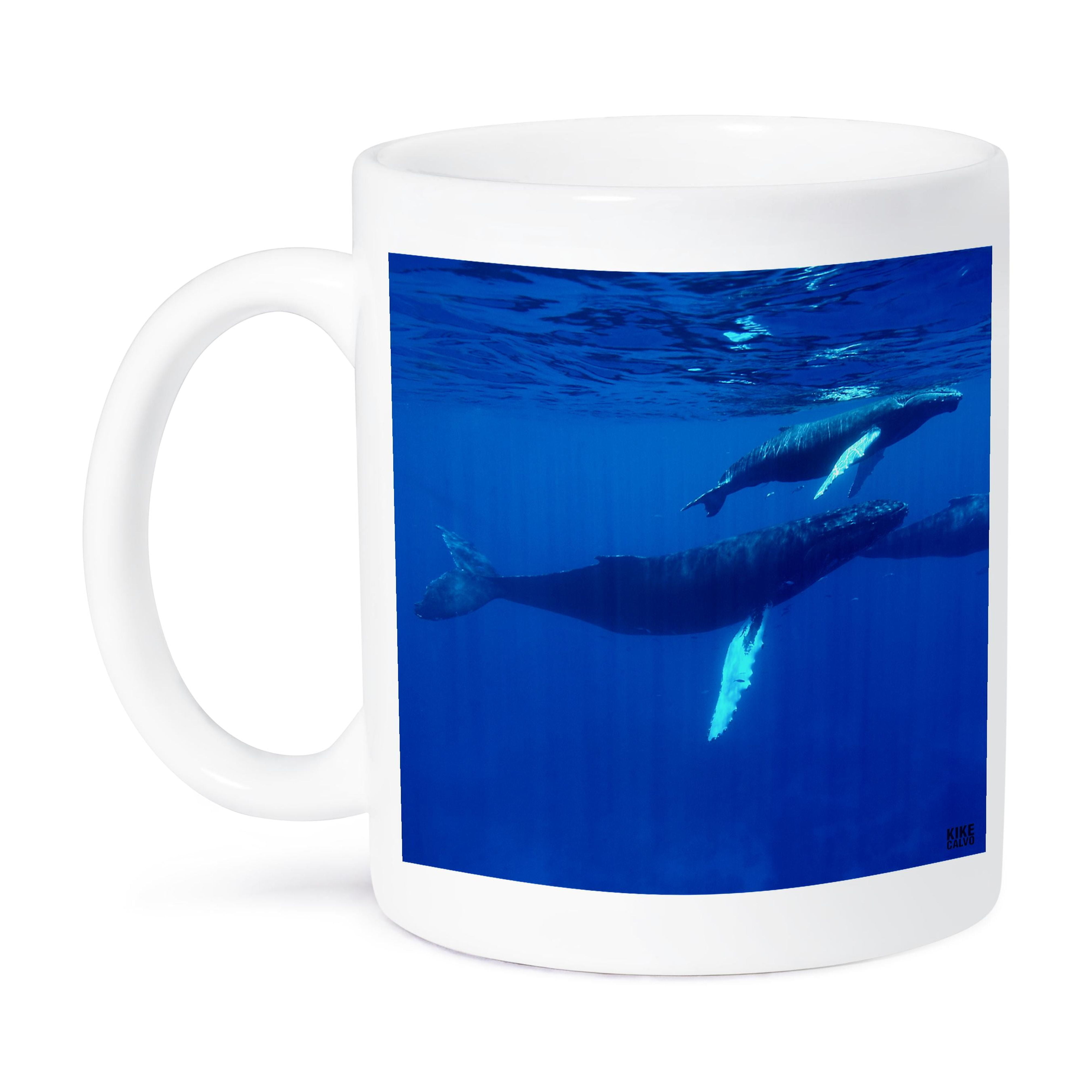 3dRose, North Atlantic Humpback Whales migrate south to the Silver ...