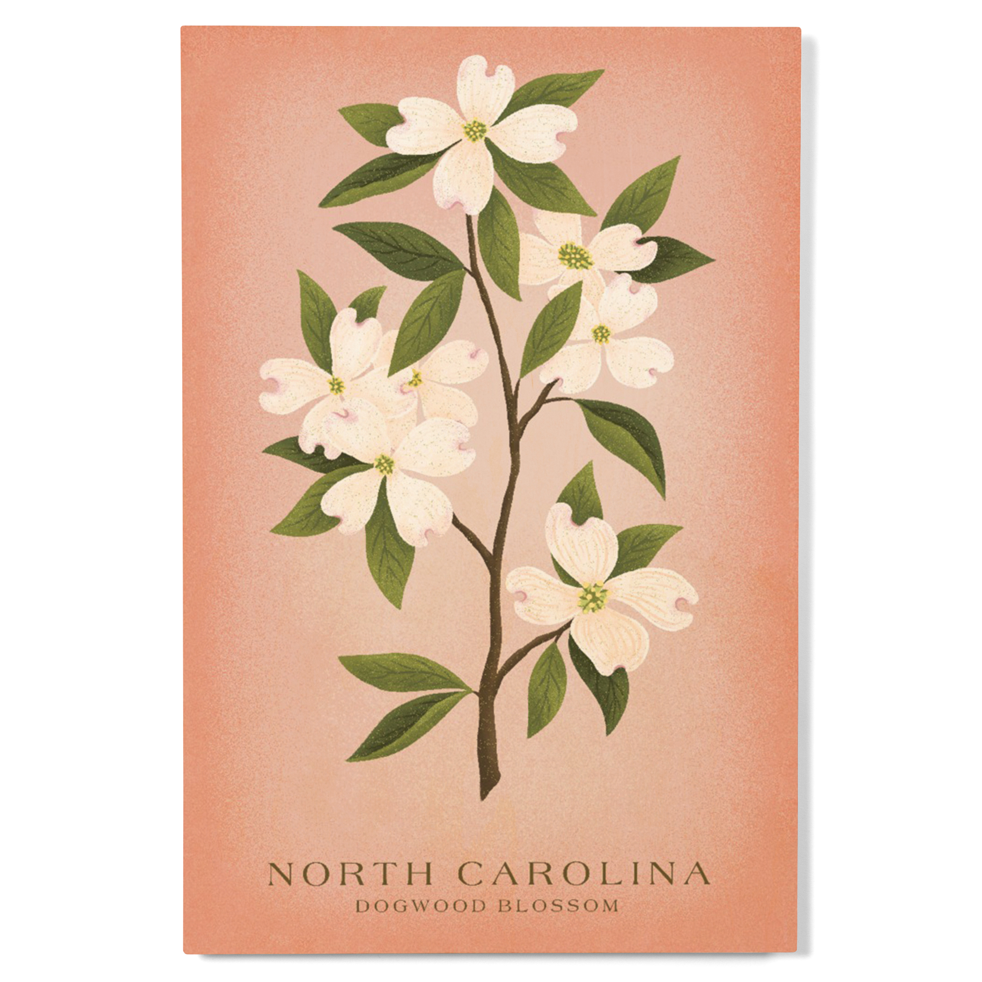 North Carolina, Vintage Flora, State Series, Dogwood Blossom Birch Wood ...
