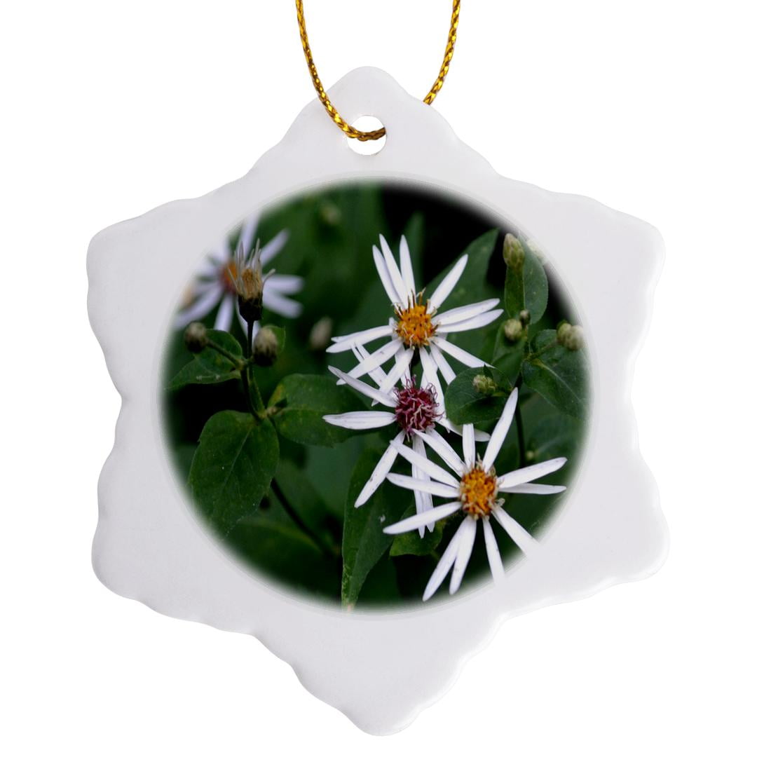 3drose, North Carolina Wild Flowers Small White Wildflowers, 3 inch ...