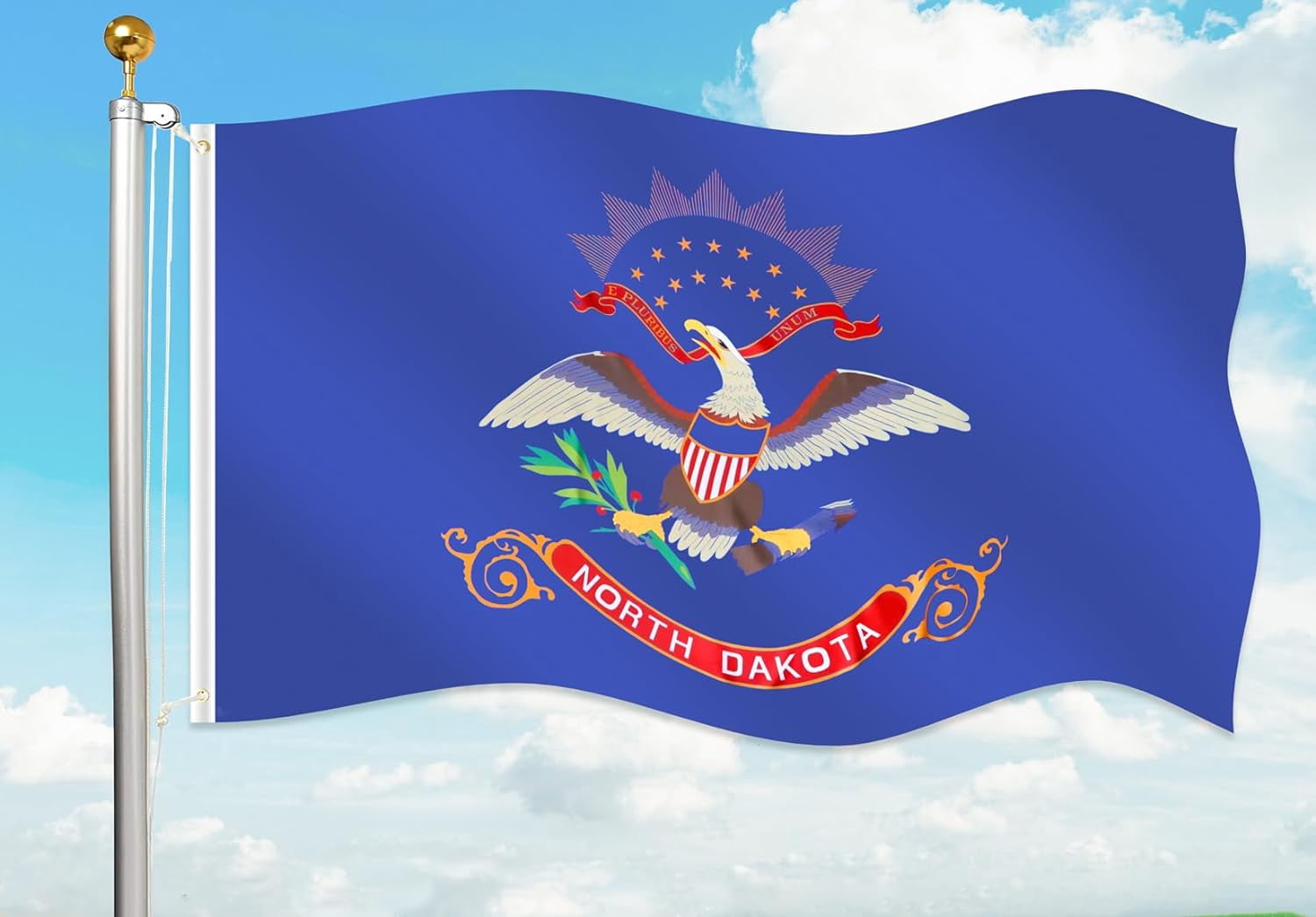North Dakota State Flag - North Dakota flag outside/indoor,Double Sided ...