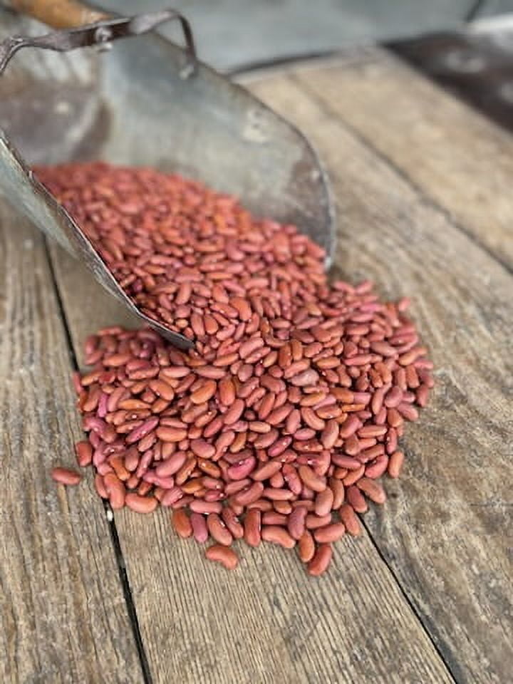 North Lily Kidney Beans, Dried, Non-GMO, Kosher, Halal, Gluten Free ...
