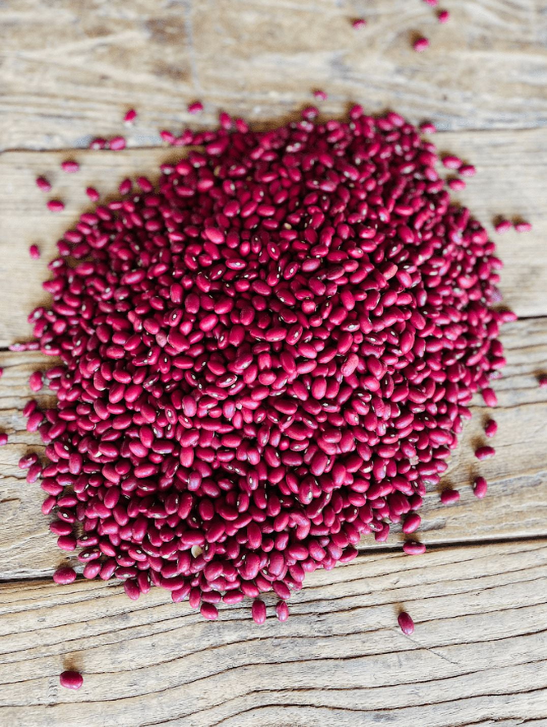 North Lily Small Red Beans, Dry, Non-GMO, Kosher, 25 lbs - Walmart.com