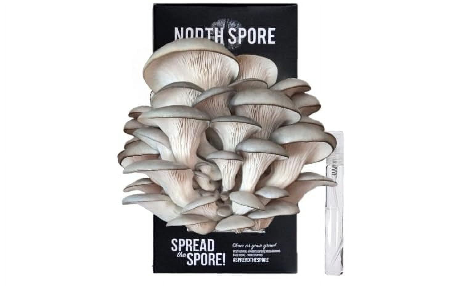North Spore Organic 3-Pack Oyster Mushroom Spray & Grow Kit Variety ...