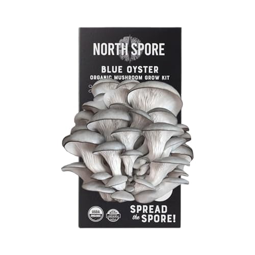 North Spore Organic Blue Oyster Mushroom Spray & Grow Kit (4 lb ...