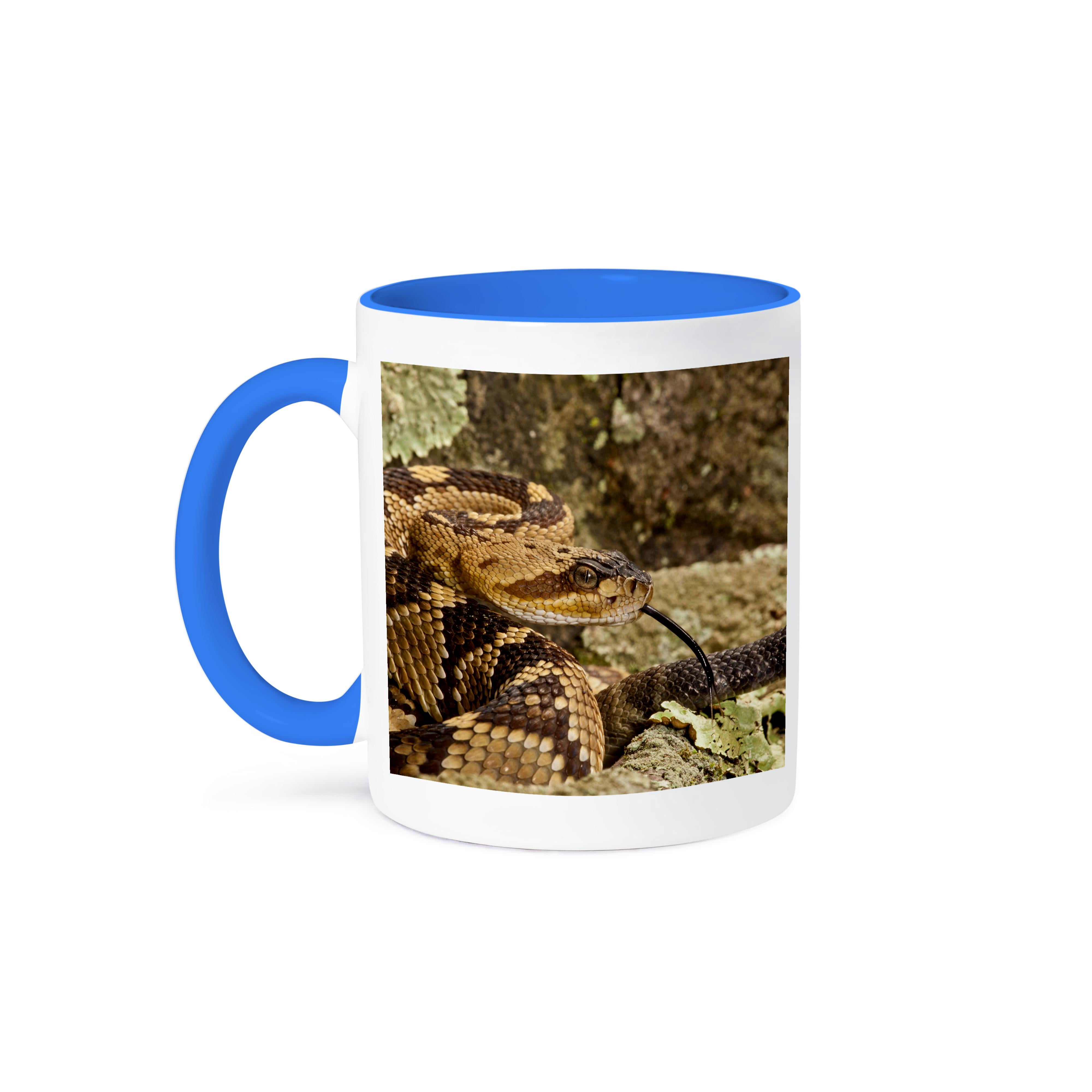 Northern Black-Tailed Rattlesnake, Southwest Us - Na02 Dno0888 - David ...