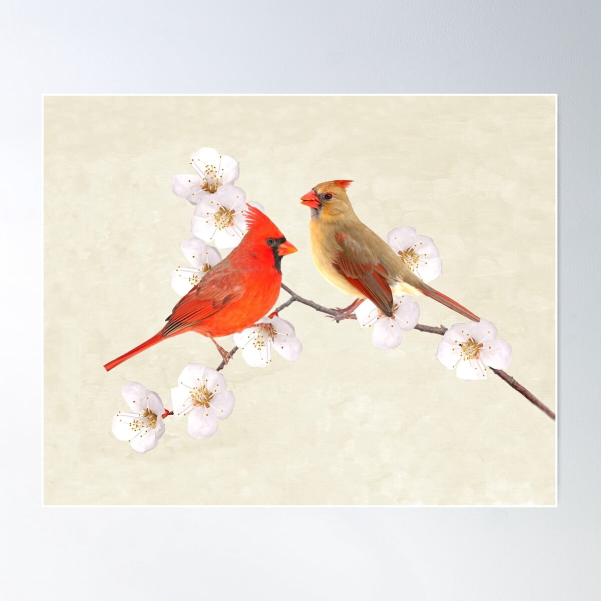 Northern Cardinal Birds Poster Wall Art, Modern Wall Decor For Living ...