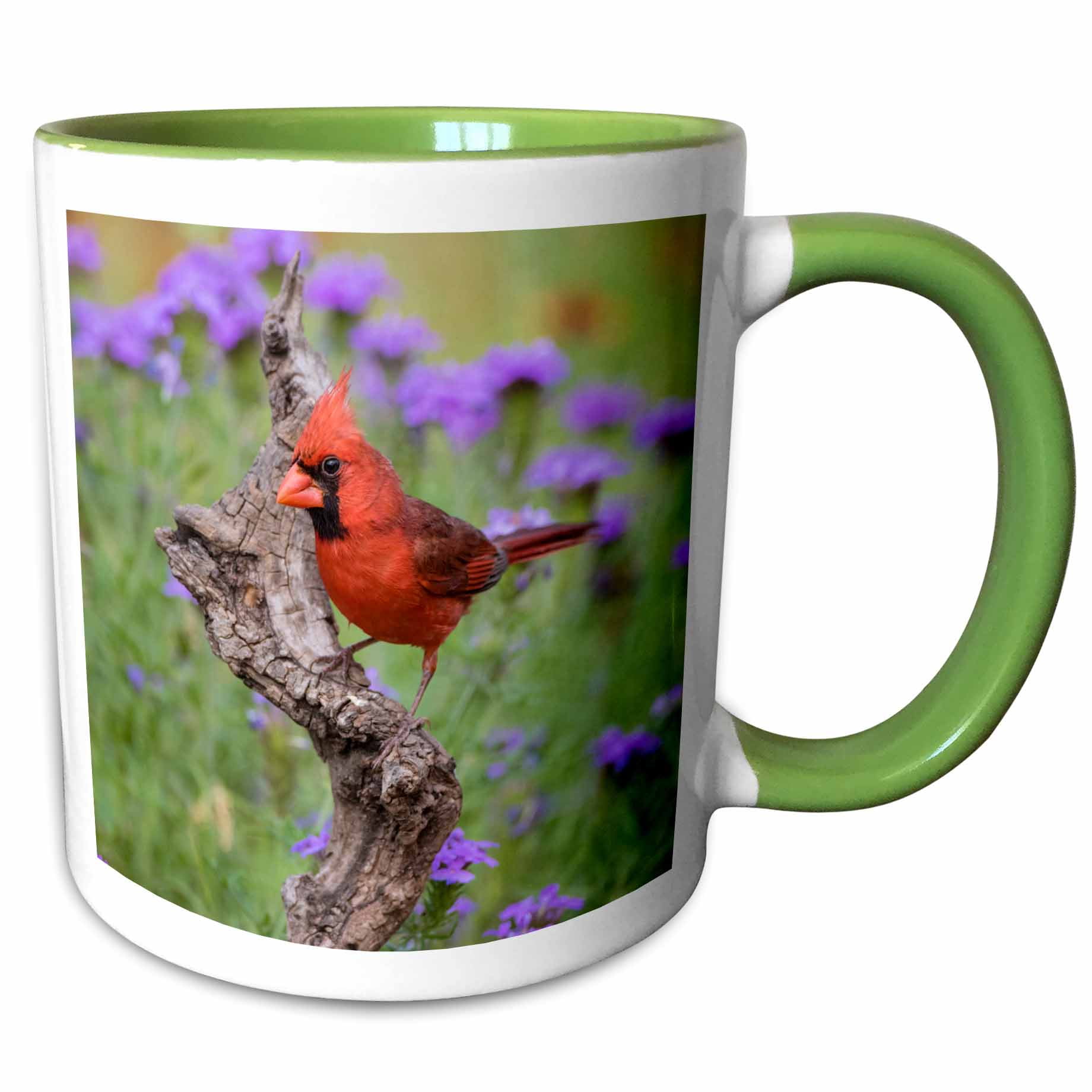 Northern Cardinal, Cardinalis Cardinalis, male in perch 11oz Two-Tone ...