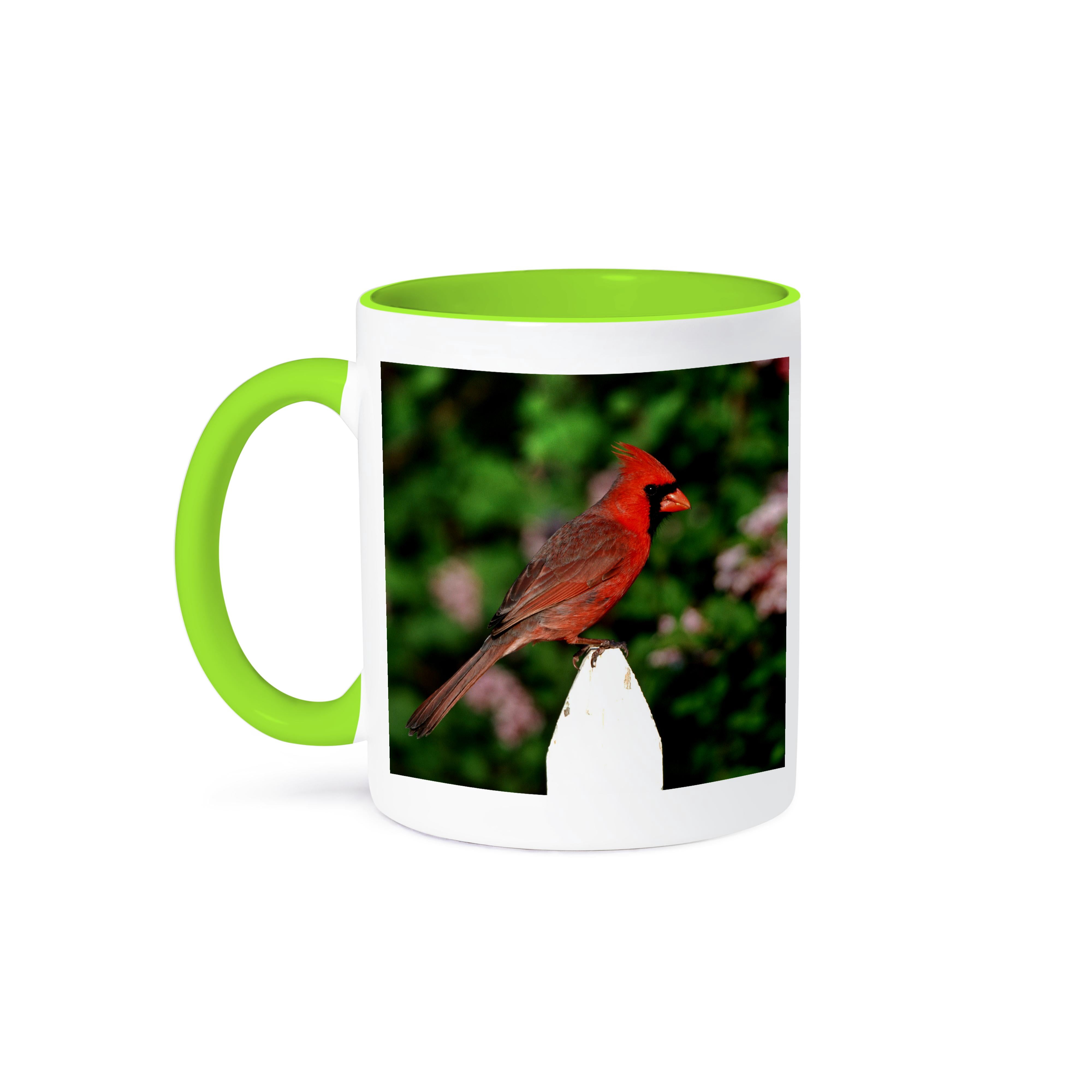 3dRose, Northern Cardinal male on picket fence near Dwarf Korean Lilac ...
