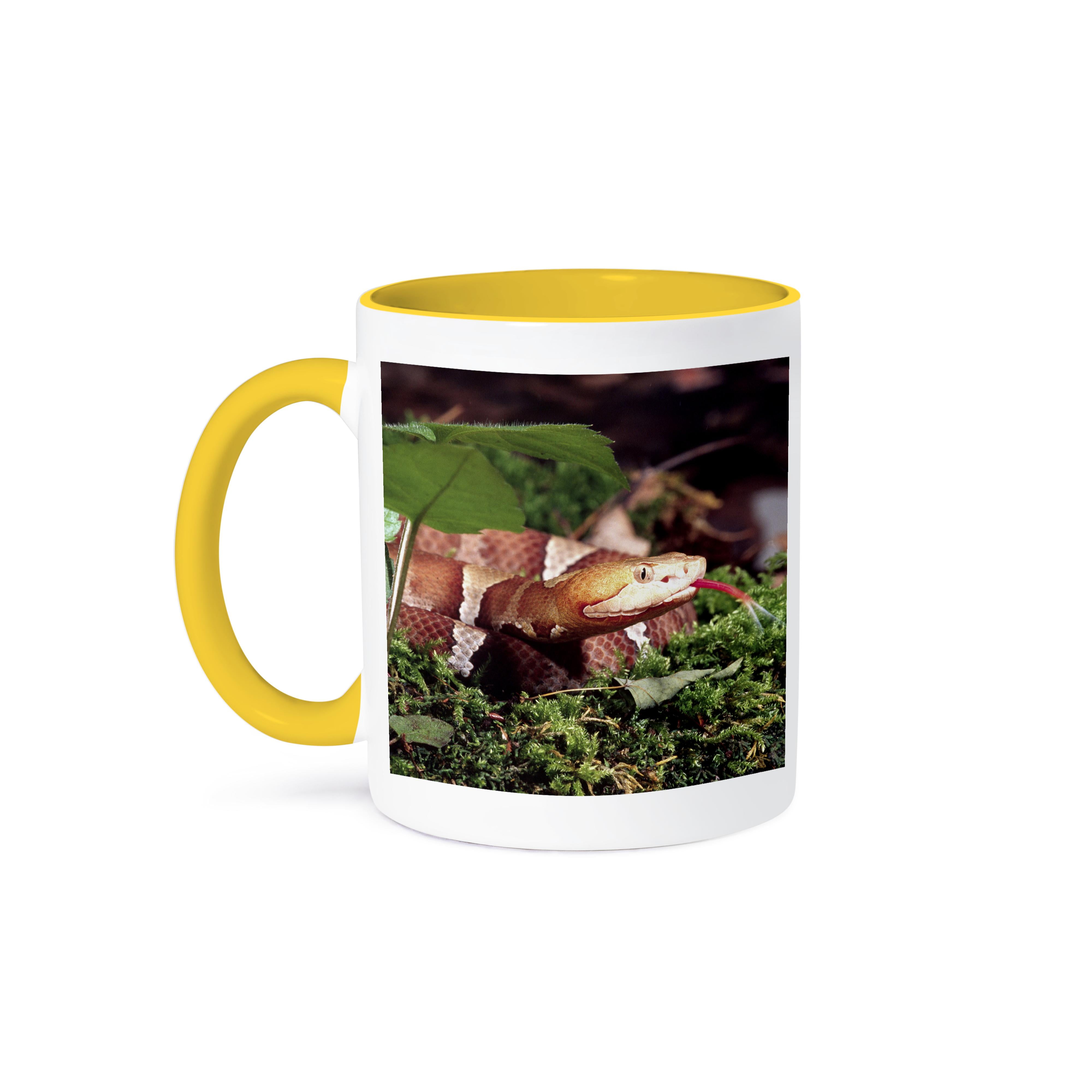 Northern Copperhead Snake - Na02 Dno0424 - David Northcott, 11oz Two ...