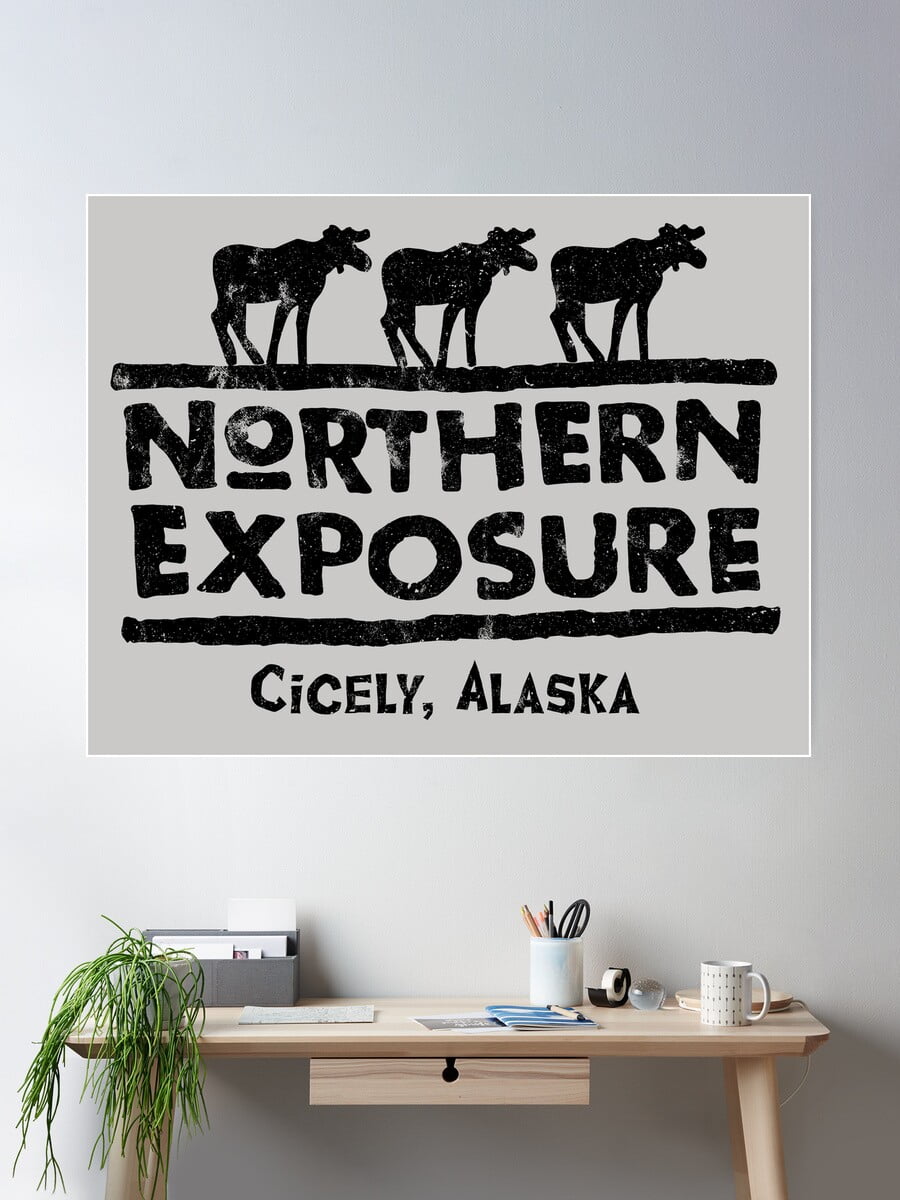 Northern Exposure Logo Faded Poster Wall Art, Modern Wall Decor For ...