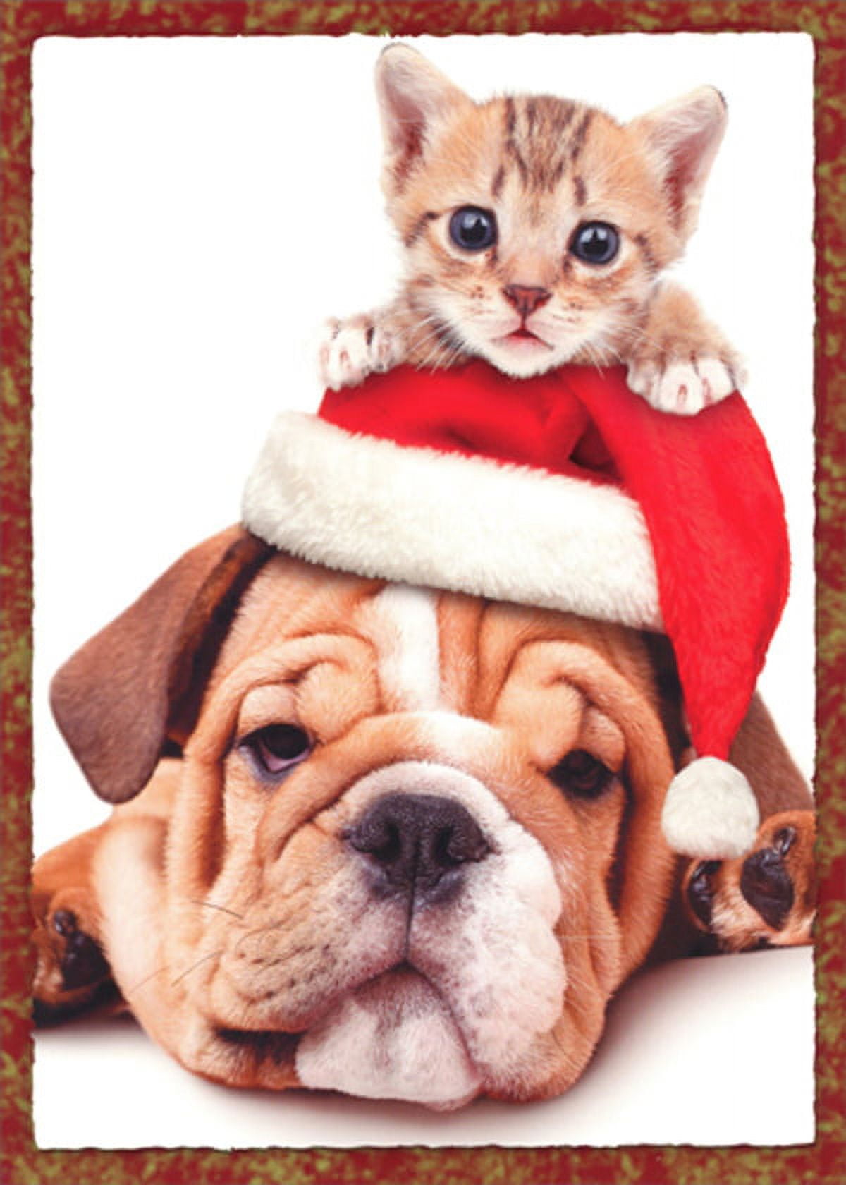 Northern Exposure Wrinkled Dog in Santa Hat with Kitten on Top Cute Box ...