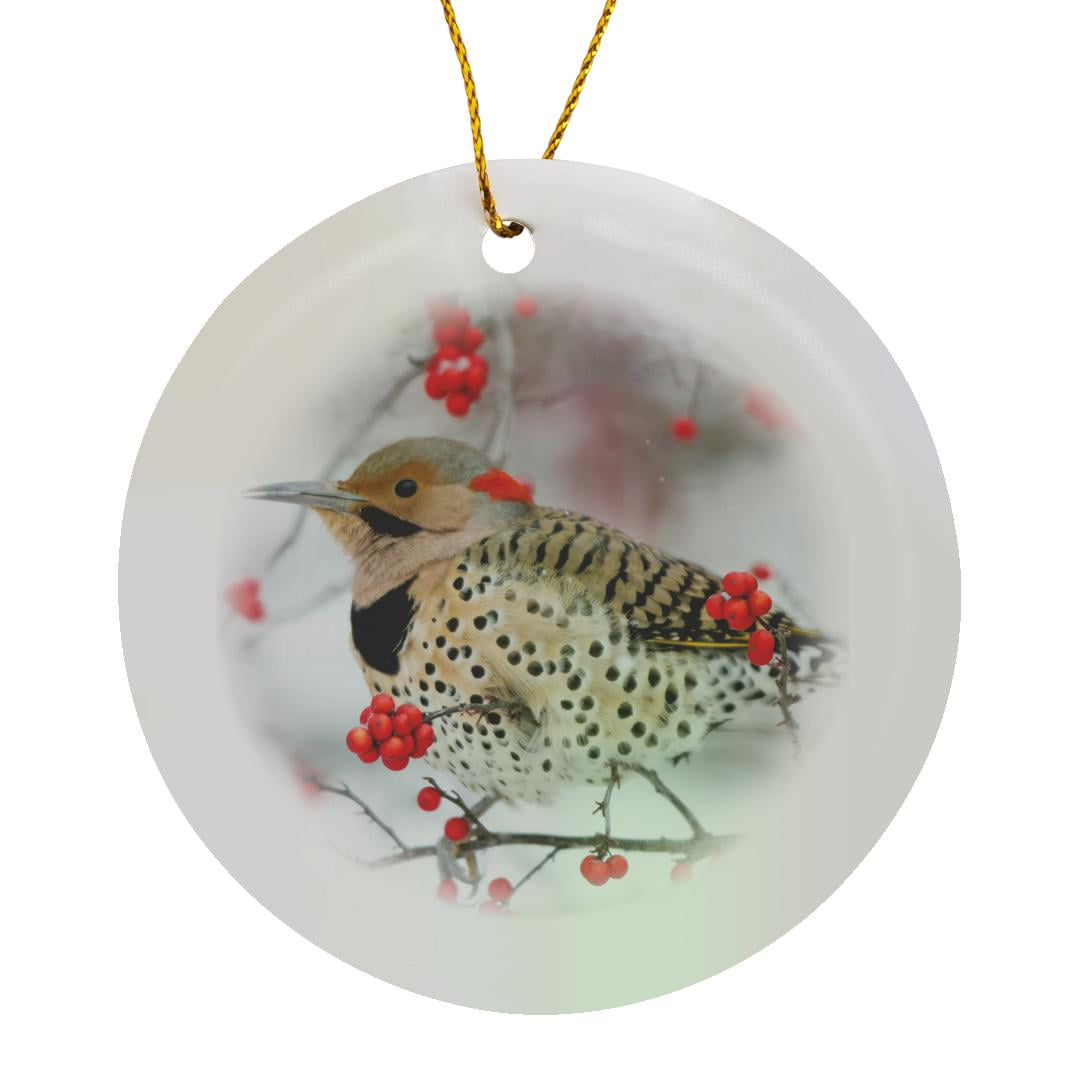 3drose, Northern Flicker, Colaptes Auratus Male in Winterberry Bush ...