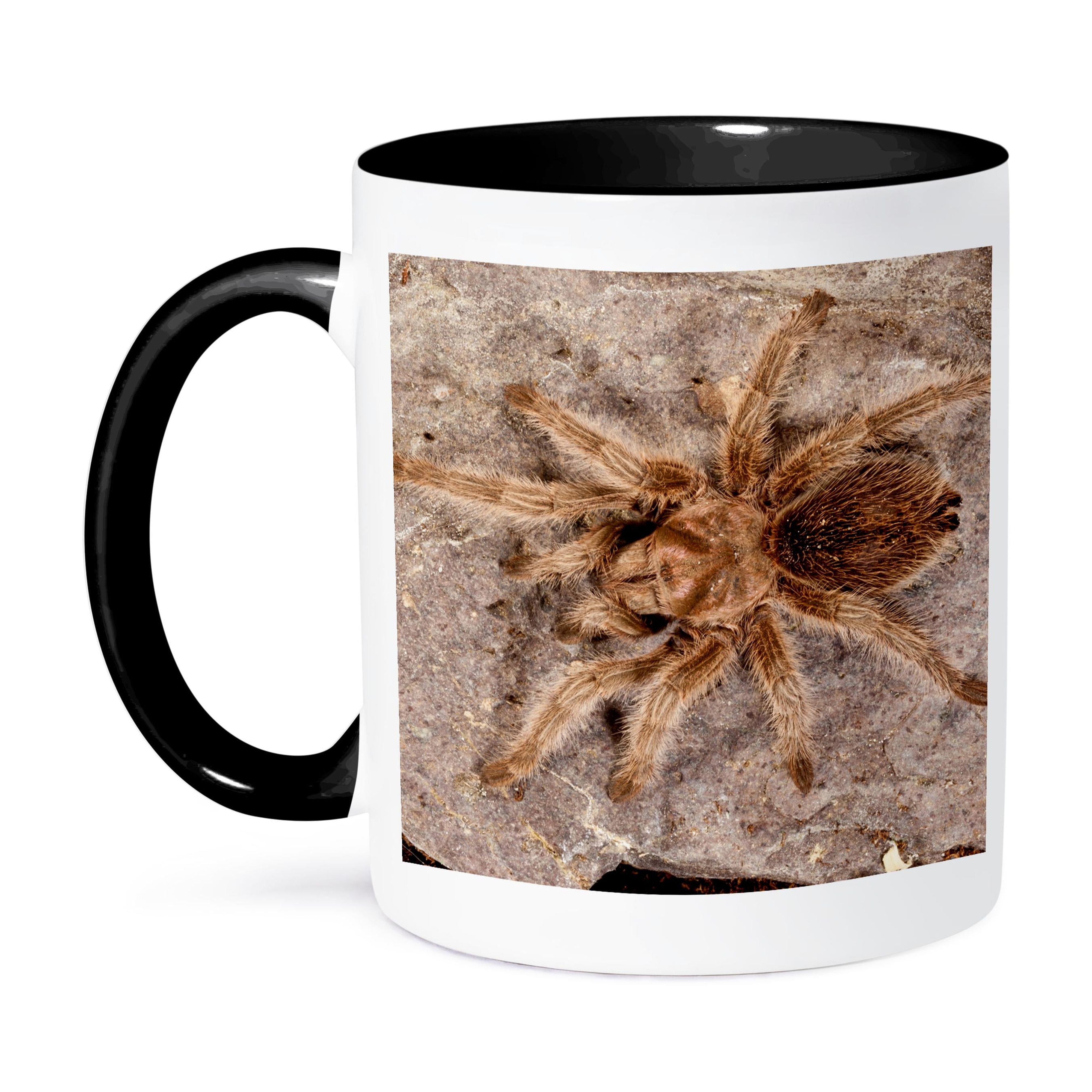 3dRose, Northern Gold Tarantula spider, Aphonopelma sp - NA02 DNO0777 ...