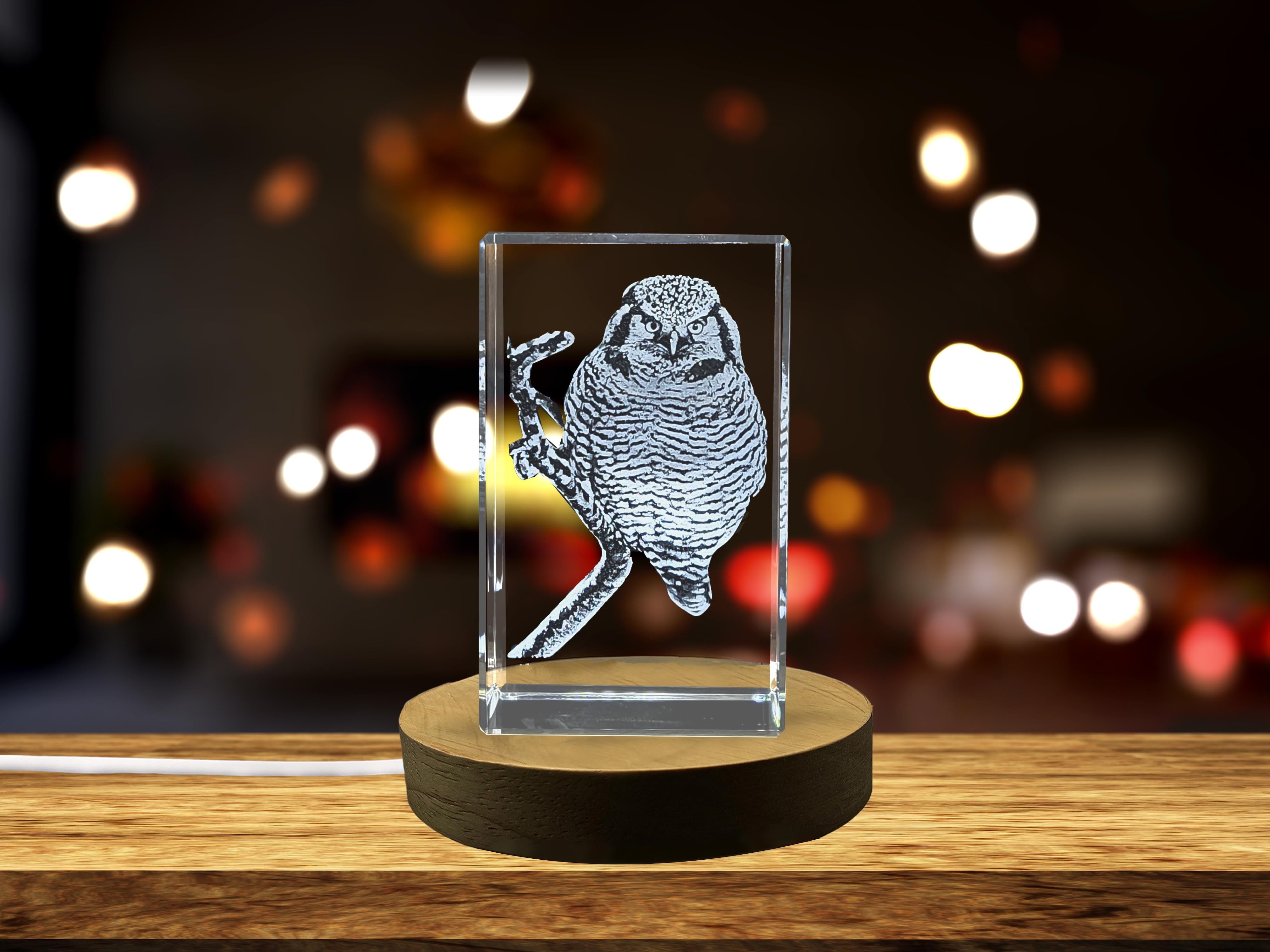 Northern Hawk Owl 3D Engraved Crystal Gift - Walmart.com