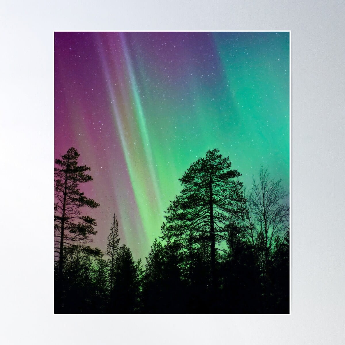 Northern Lights Over The Forest, Beautiful Northern Lights, Northern ...