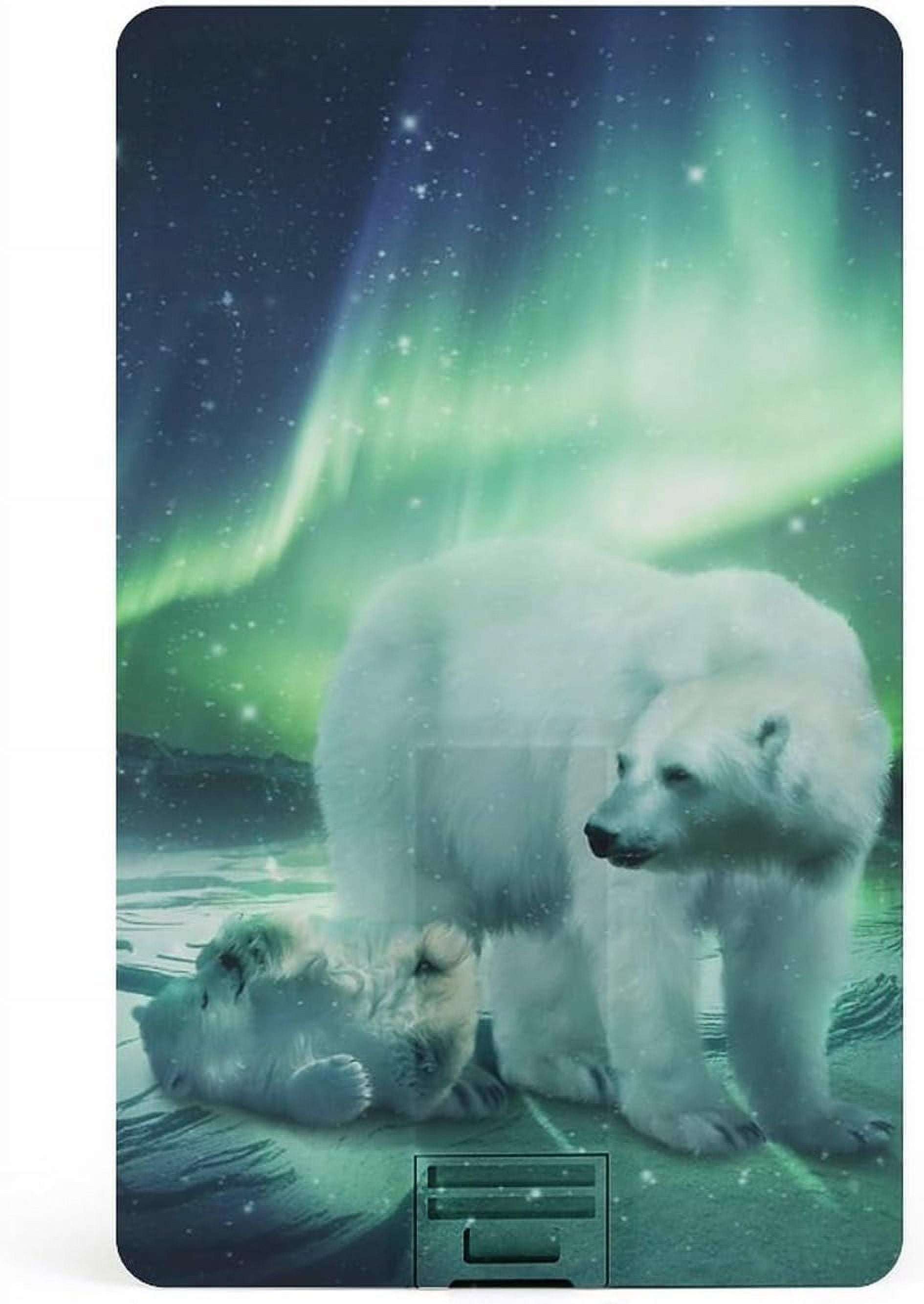 Northern Lights Polar Bear Usb Flash Drive Credit Card Design Thumb ...