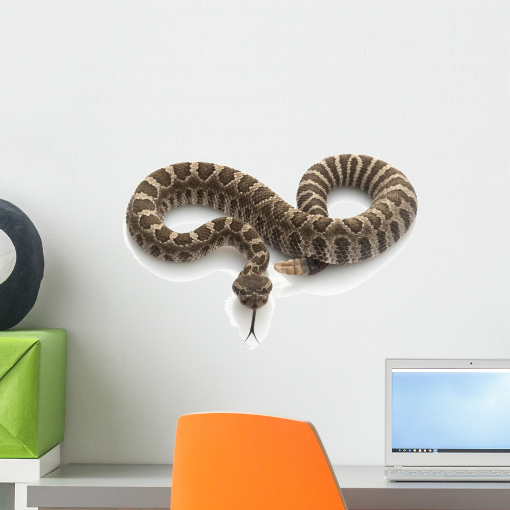Northern Pacific Rattlesnake Wall Decal by Wallmonkeys Peel and Stick ...