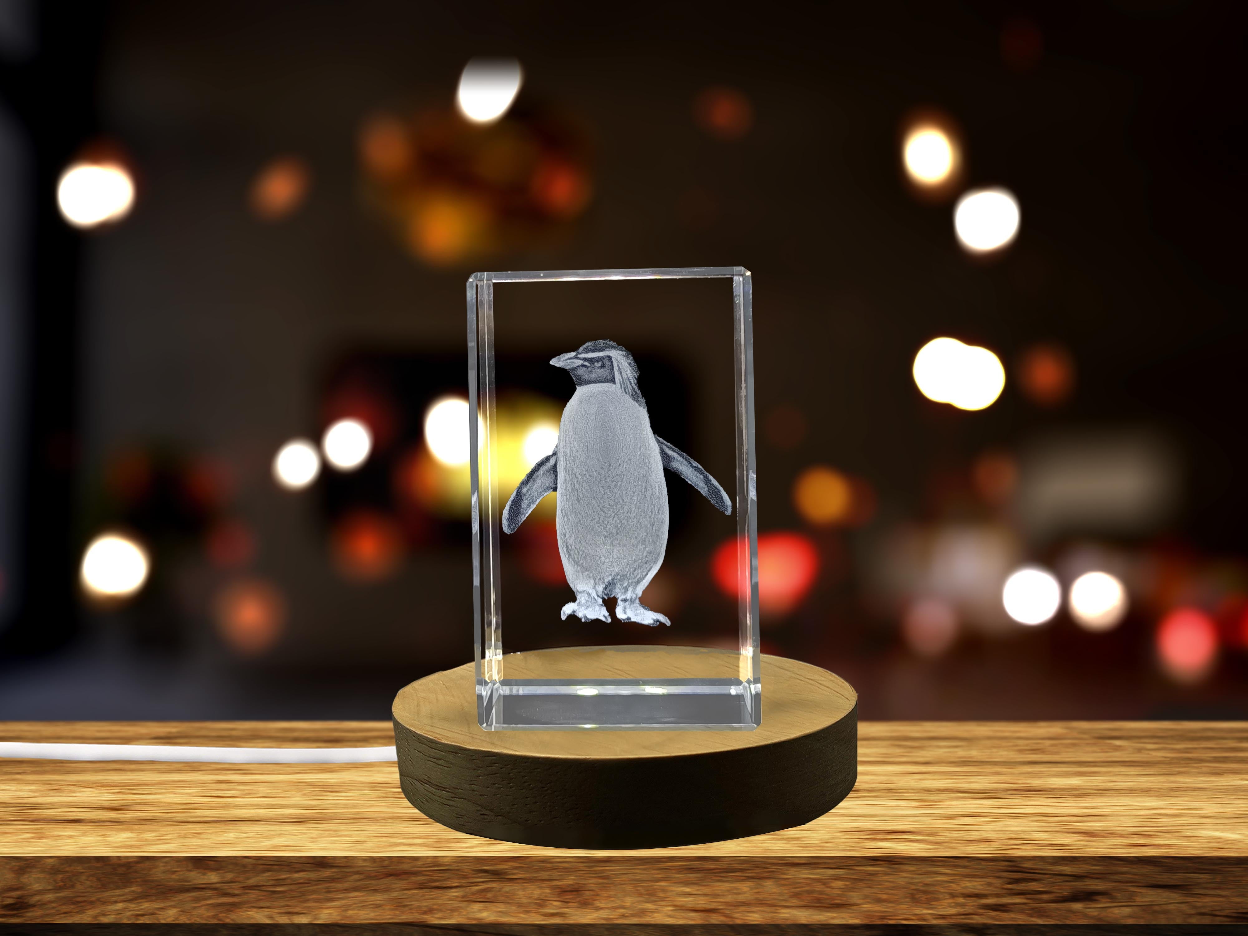 Northern Rockhopper Penguin Enchanting 3D Engraved Crystal Decor Gift ...