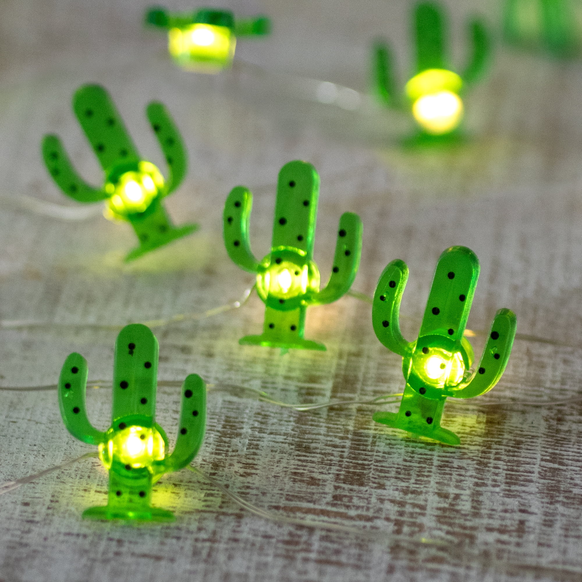 Northlight LED Cactus Fairy Lights - Warm White - 2.75' Silver Wire ...