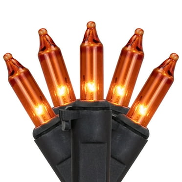 Unido Box 2-Pack Mini Fairy String Lights 20 LED, Cool White, 7' ft/2m ...