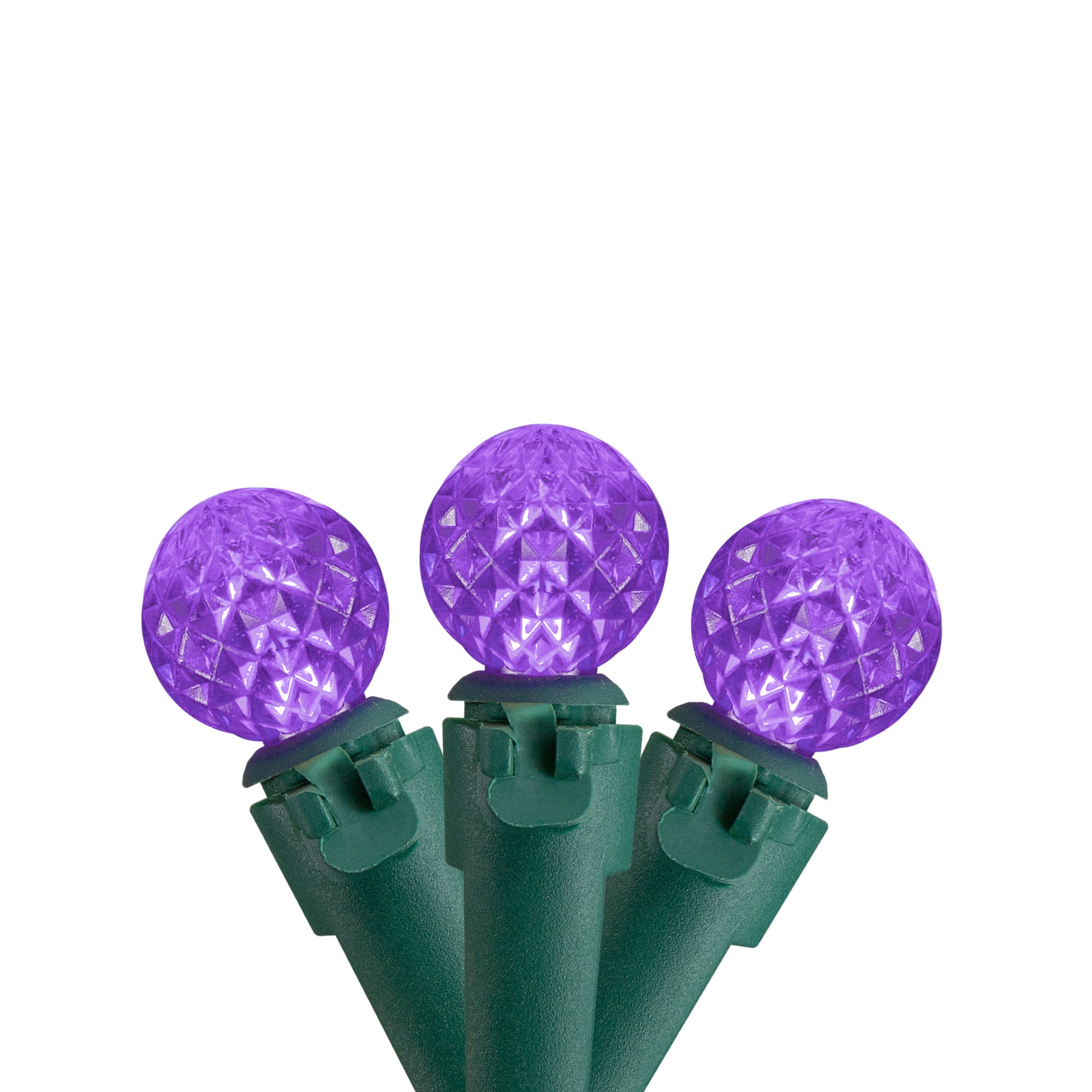 Northlight 50 Count LED G12 Berry Mini Christmas Lights with 15 ft ...