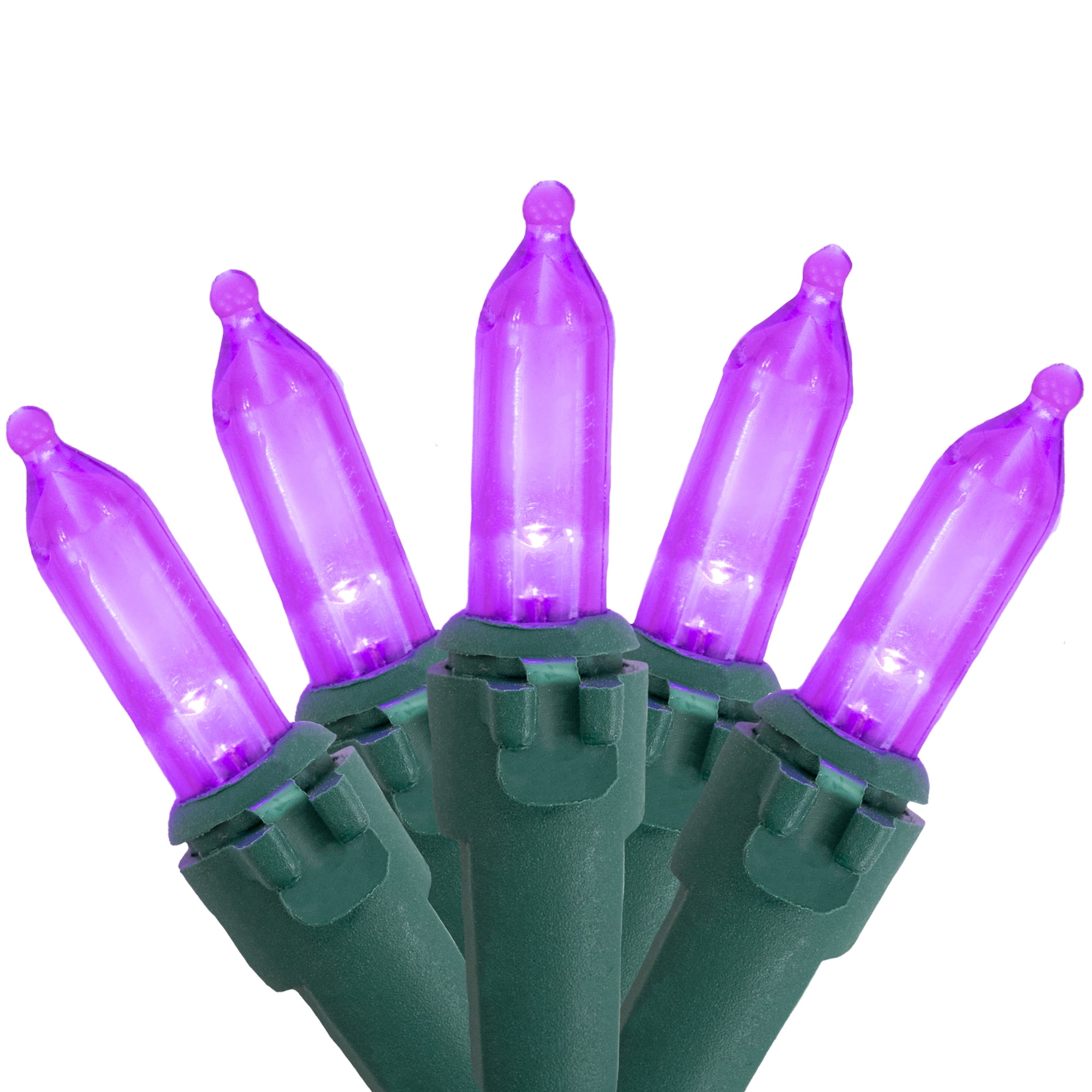 Northlight 50ct Purple LED Mini Christmas Lights, 16.25ft Green Wire ...
