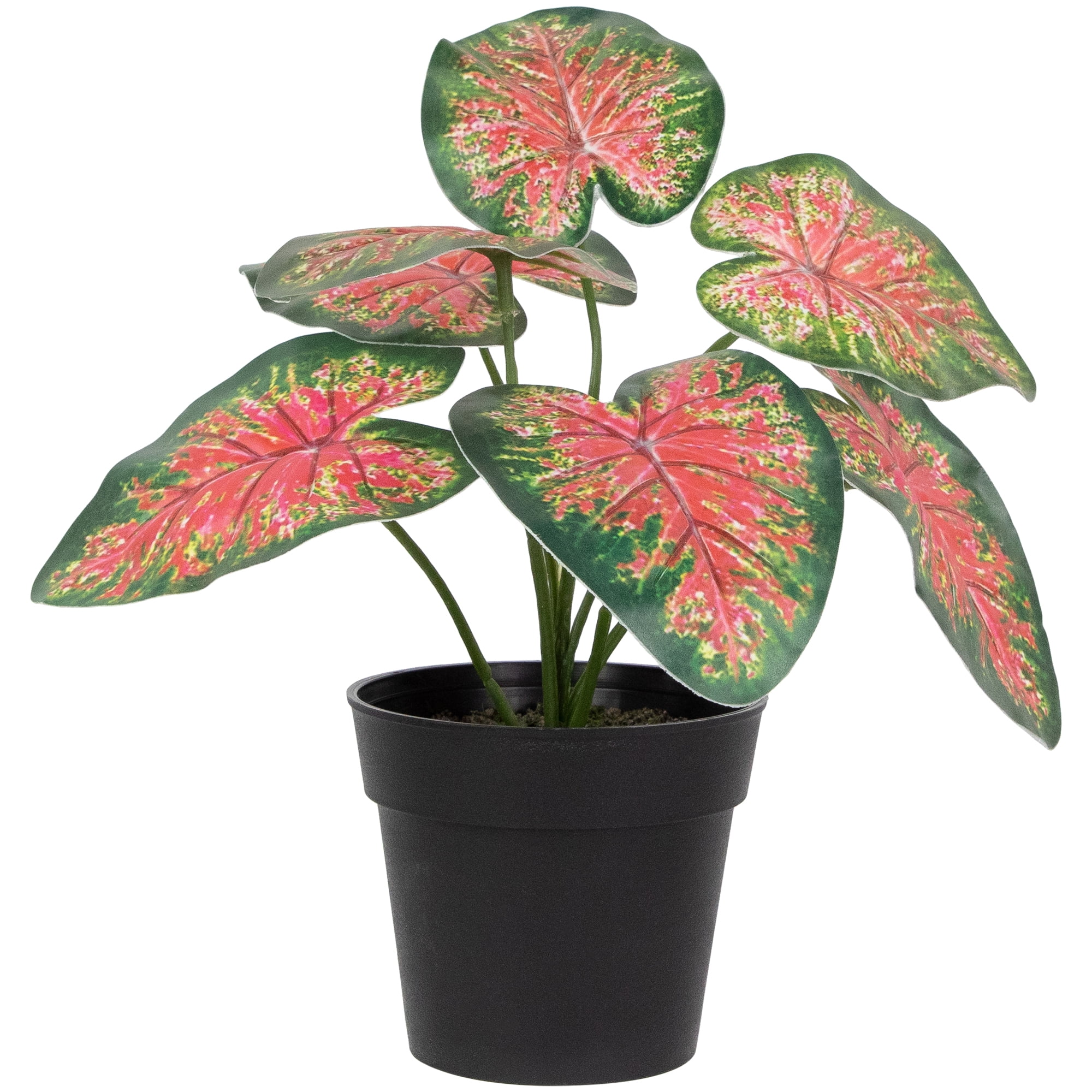 Northlight 8" Rohdea Spring Floral Artificial Potted Plant - Walmart.com