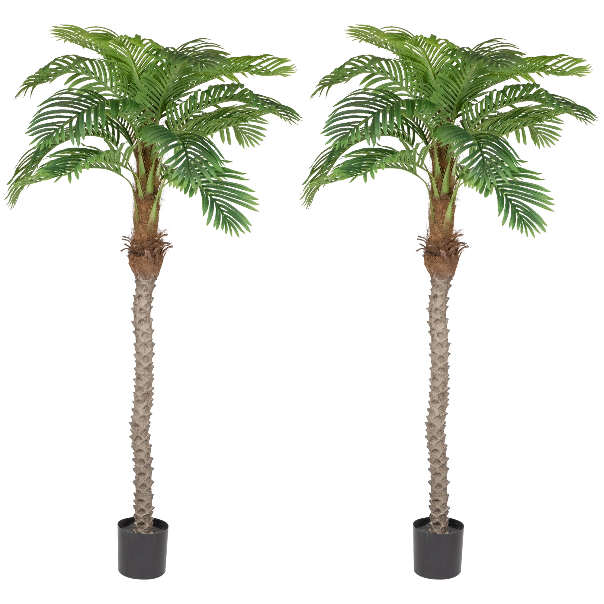 Northlight Artificial Potted Palm Trees - 6' - Set of 2 - Walmart.com