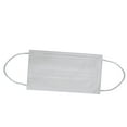 Northlight Disposable Dust Masks, Individually Wrapped, 3 Ply, White ...