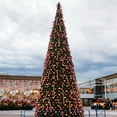Northlight Pre-Lit Everest Fir Giant Commercial Tower Christmas Tree ...