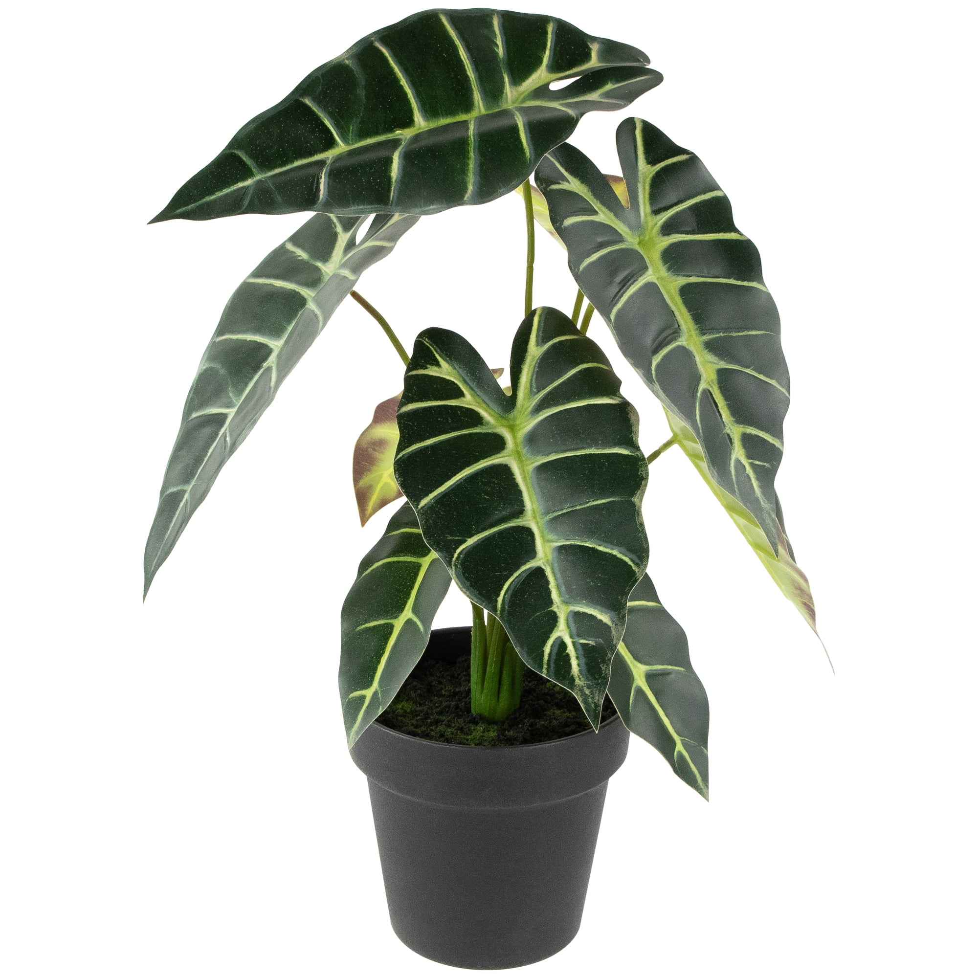 Northlight Real Touch™ Artificial Taro Plant in Black Pot 18" - Walmart.com