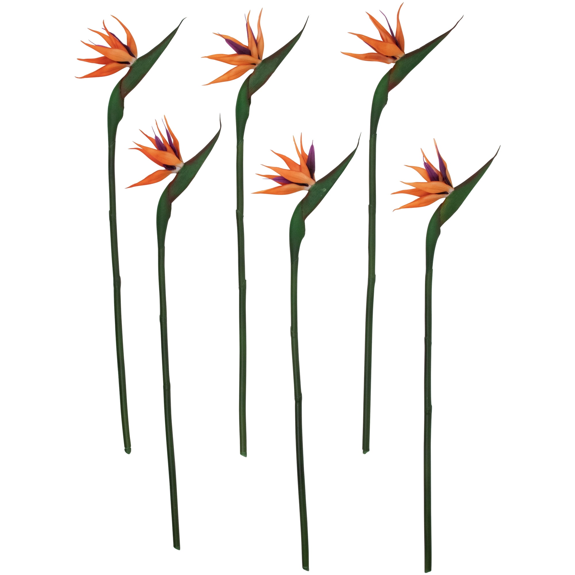 Northlight Real Touch™ Bird of Paradise Artificial Floral Stems, Set of ...