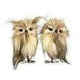 Northlight Set of 2 Brown and Ivory Owls Figures - Walmart.com