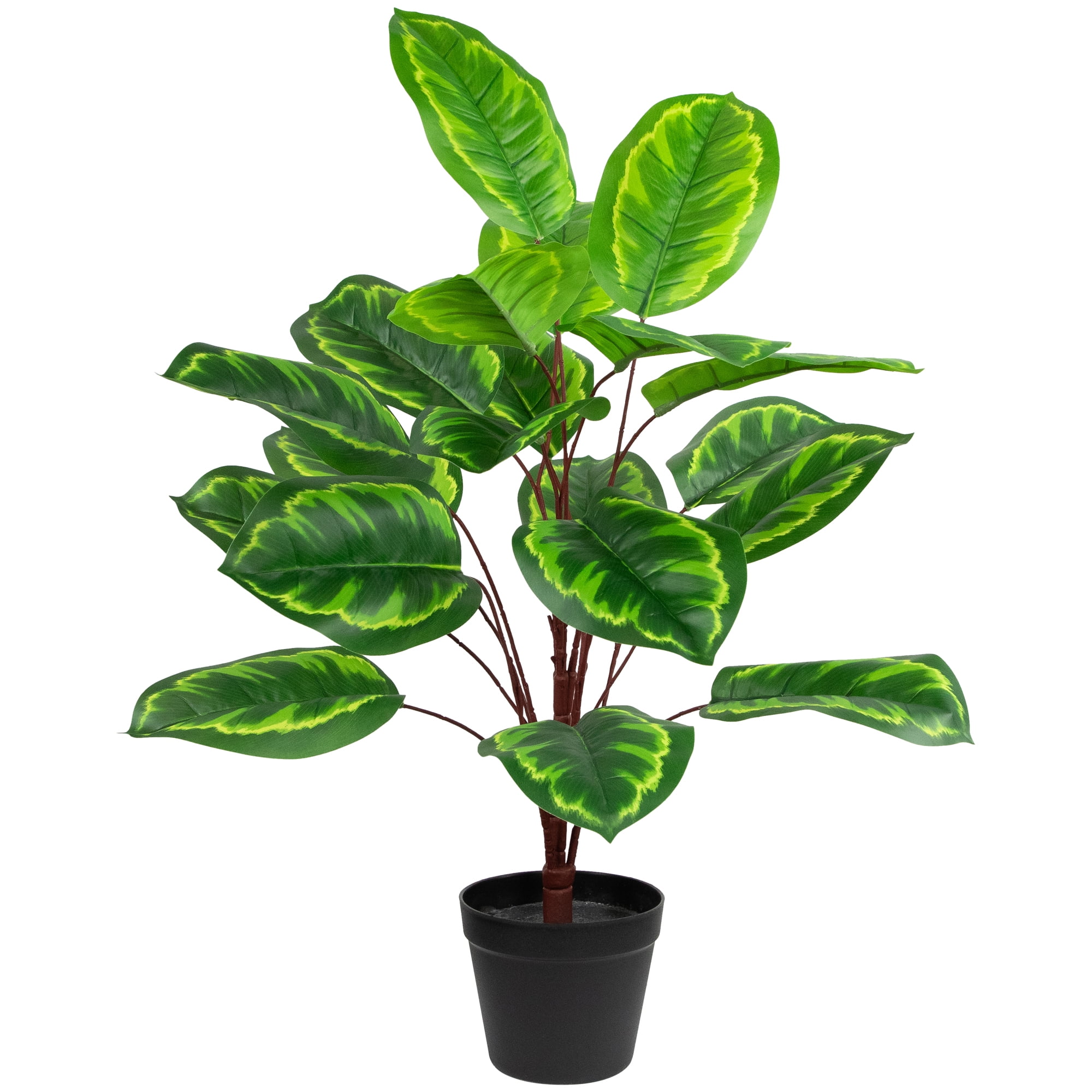 Northlight Two-Tone Calathea Artificial Potted Plant - 30" - Walmart.com