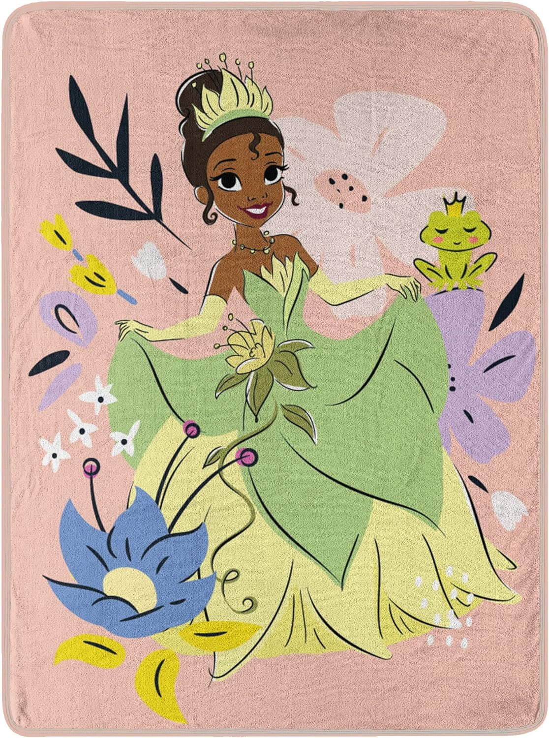 Northwest Princess and The Frog Micro Raschel Throw Blanket, 40" x 30 ...
