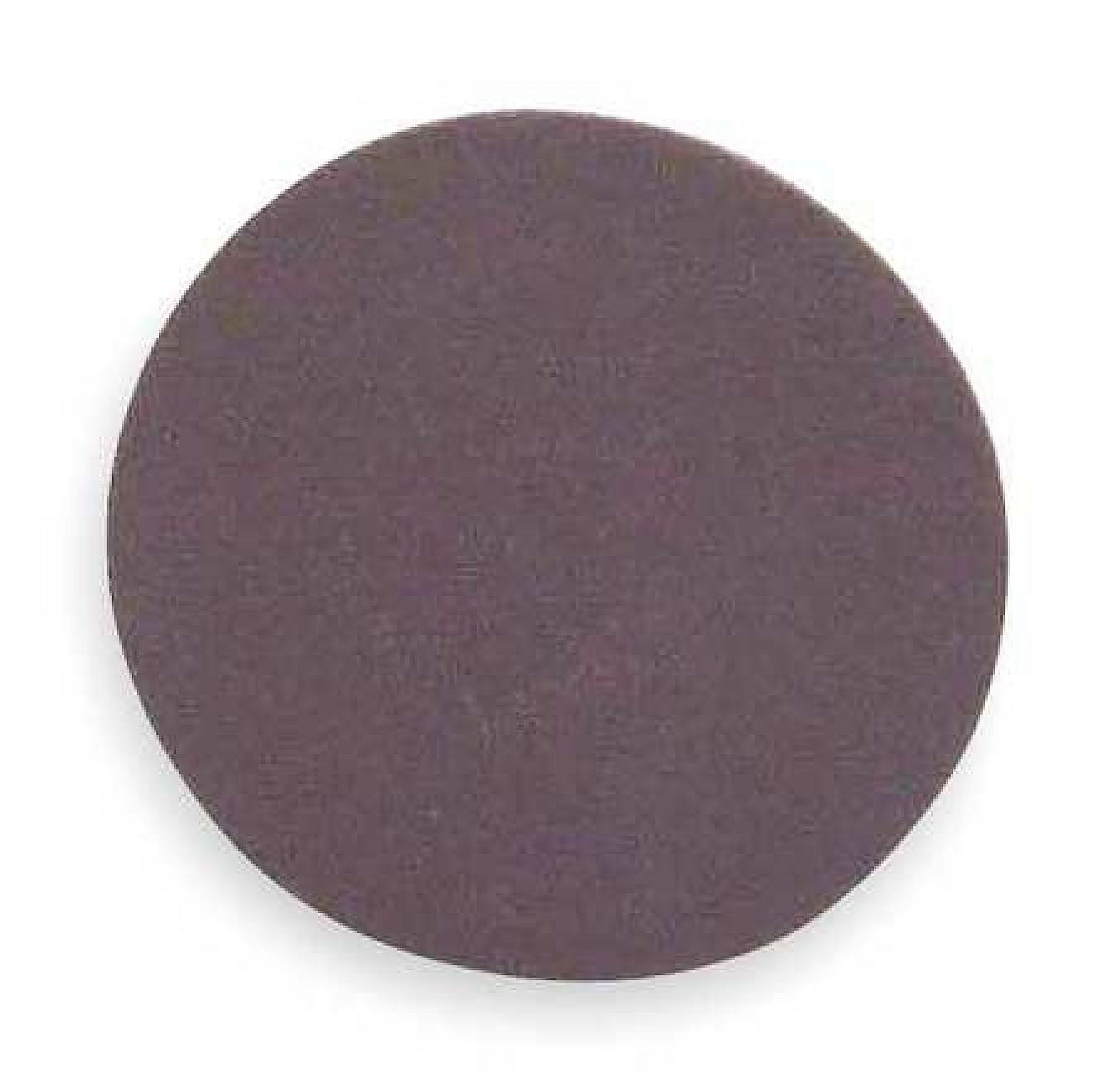 Norton Abrasives Quick-Change Sand Disc,2 in Dia,TS,PK100 66261138155 ...