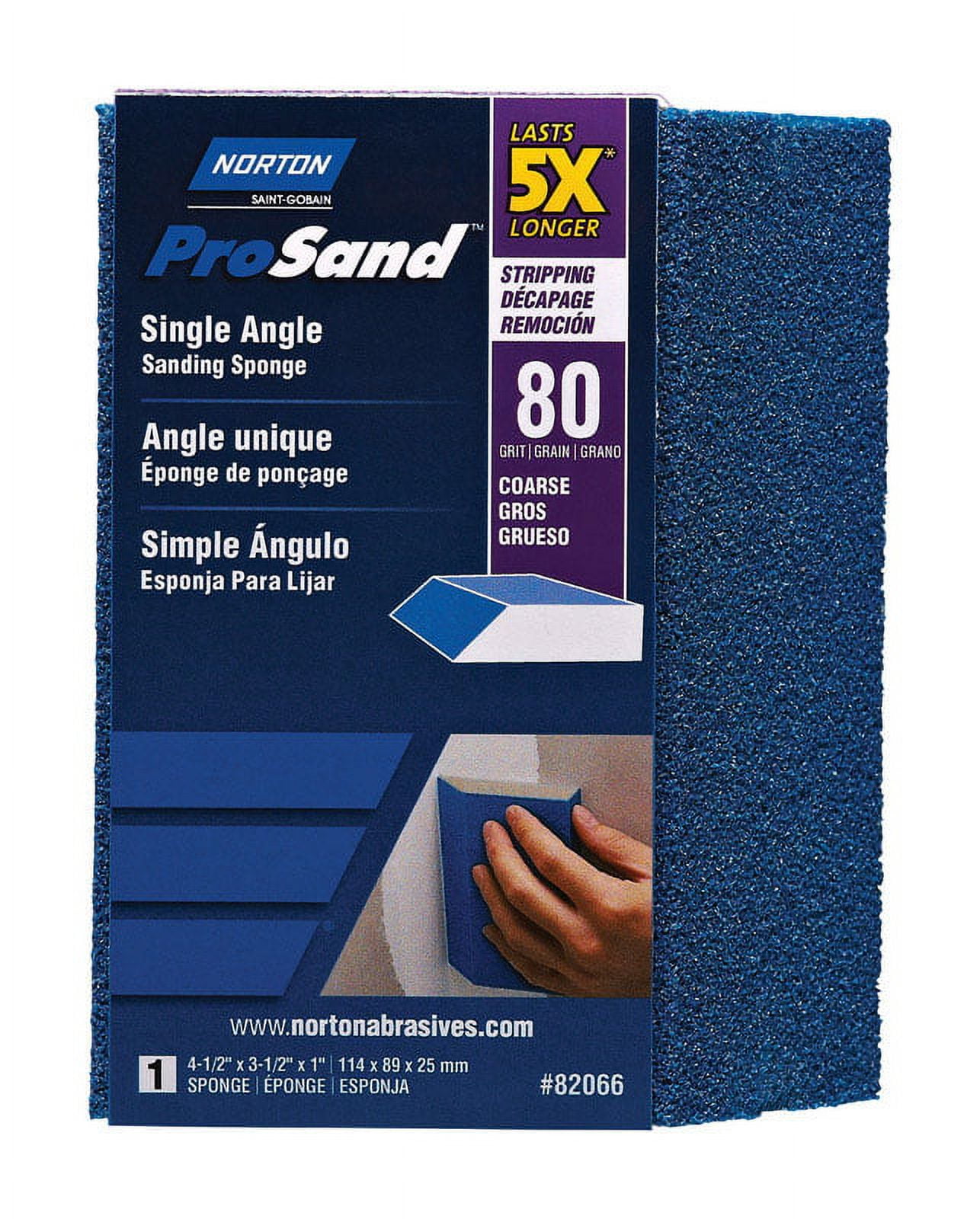 SAND SPONGE SA 80G MED (Pack of 1) - Walmart.com
