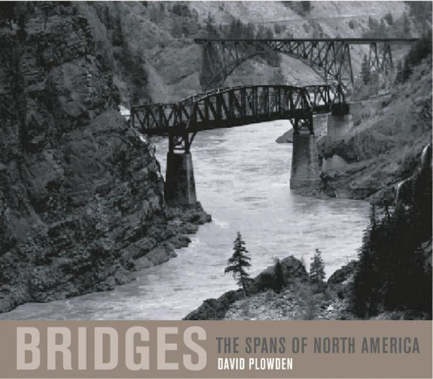 Norton Professional Books for Architects Bridges: The Spans of North ...