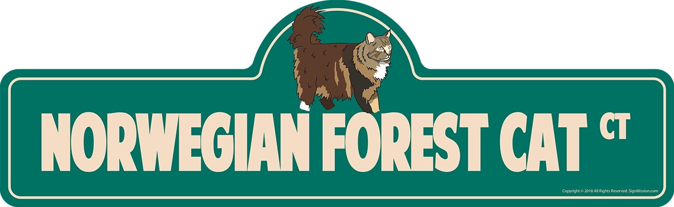Norwegian Forest Cat Street Sign | Indoor/Outdoor | Dog Lover Funny ...
