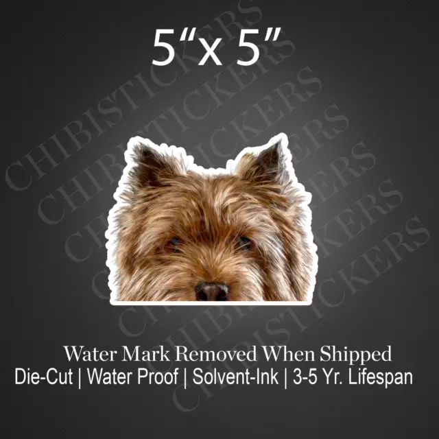 Norwich Terrier Fawn Norwich Realistic Dog Sticker Vinyl Waterproof ...