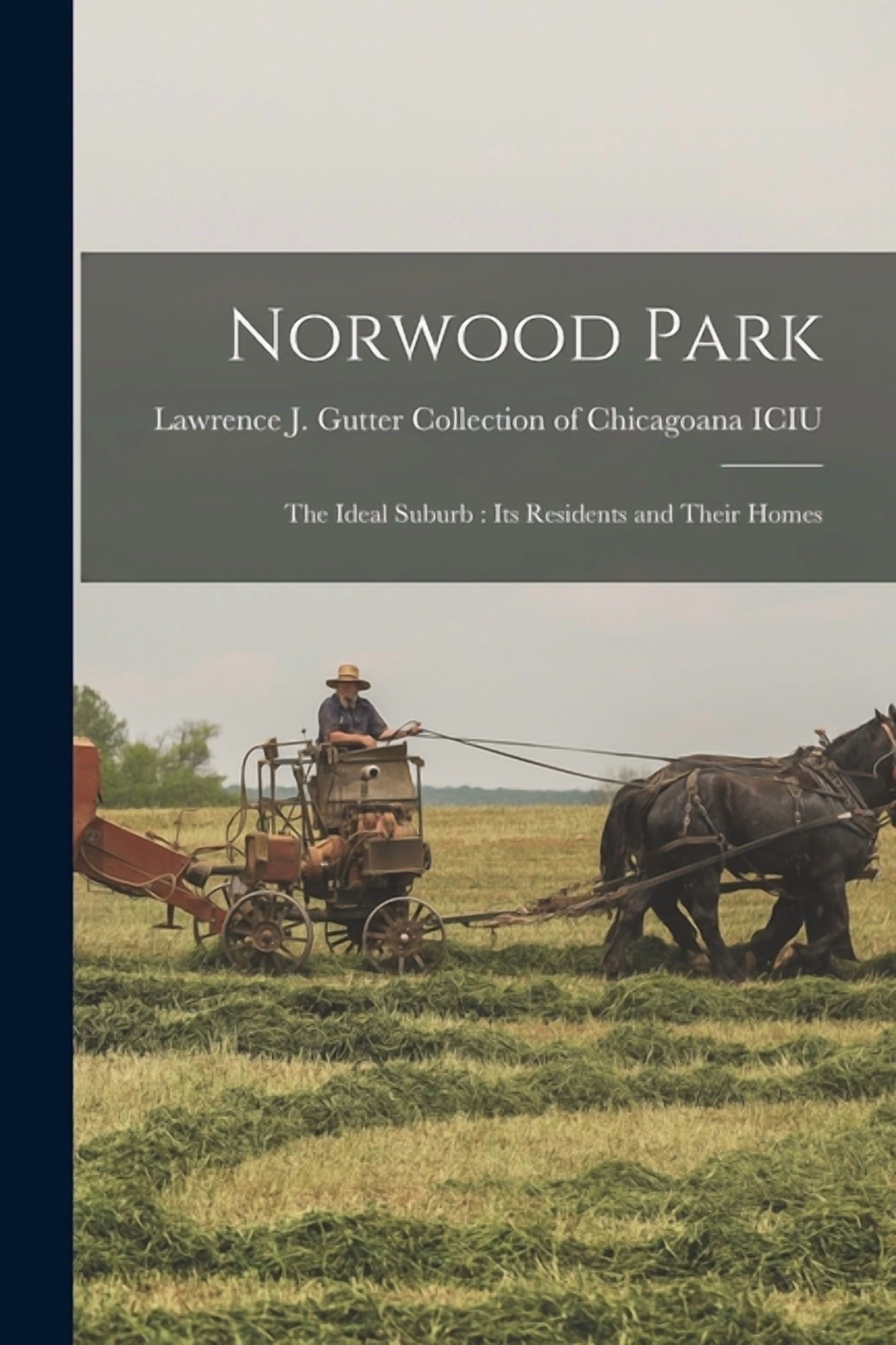Norwood Park : the Ideal Suburb : Its Residents and Their Homes ...