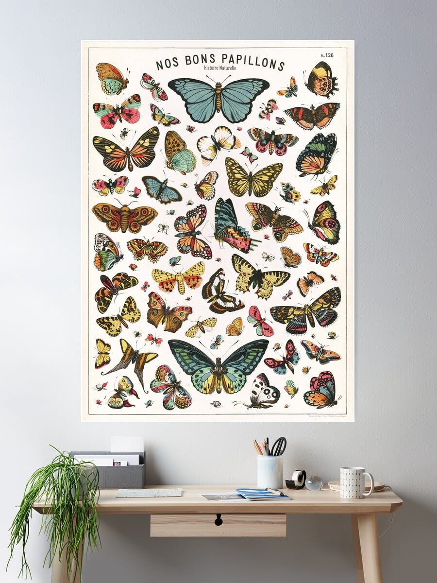 Nos Papillons Poster Wall Art, Modern Wall Decor For Living Room ...