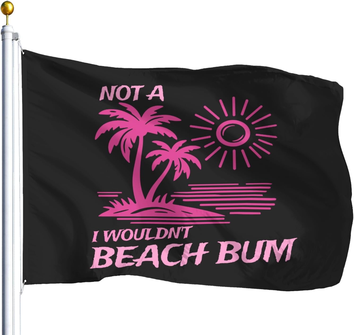 Not A Beach I Wouldn't Bum Flags For Room Guys Novelty 3x5 Flag Outdoor ...