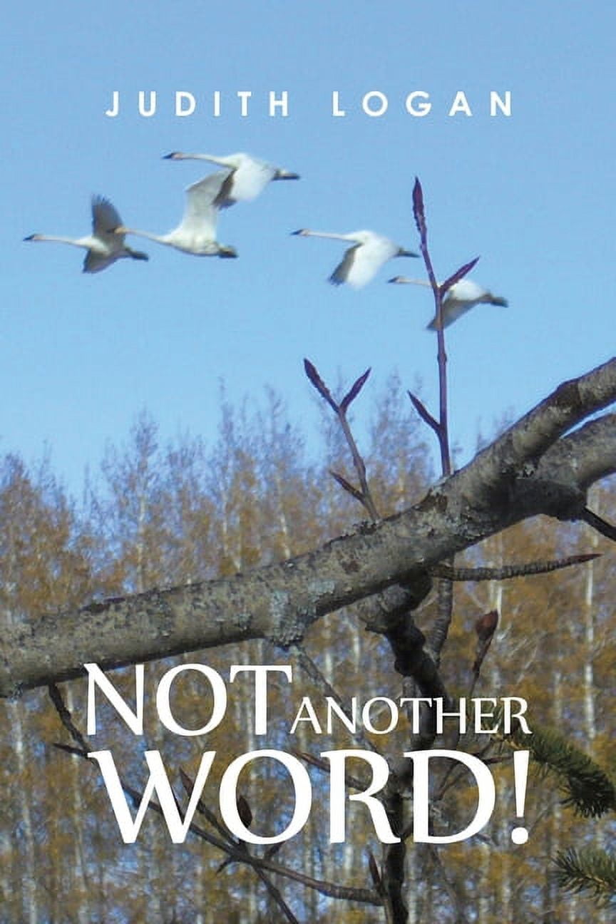 Not Another Word!, (Paperback) - Walmart.com