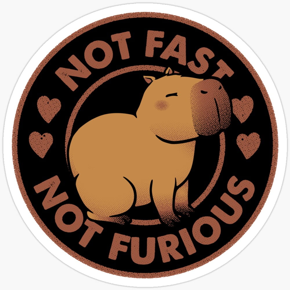 Not Fast Not Furious Capybara Black Sticker Phone Decal Water Bottle ...
