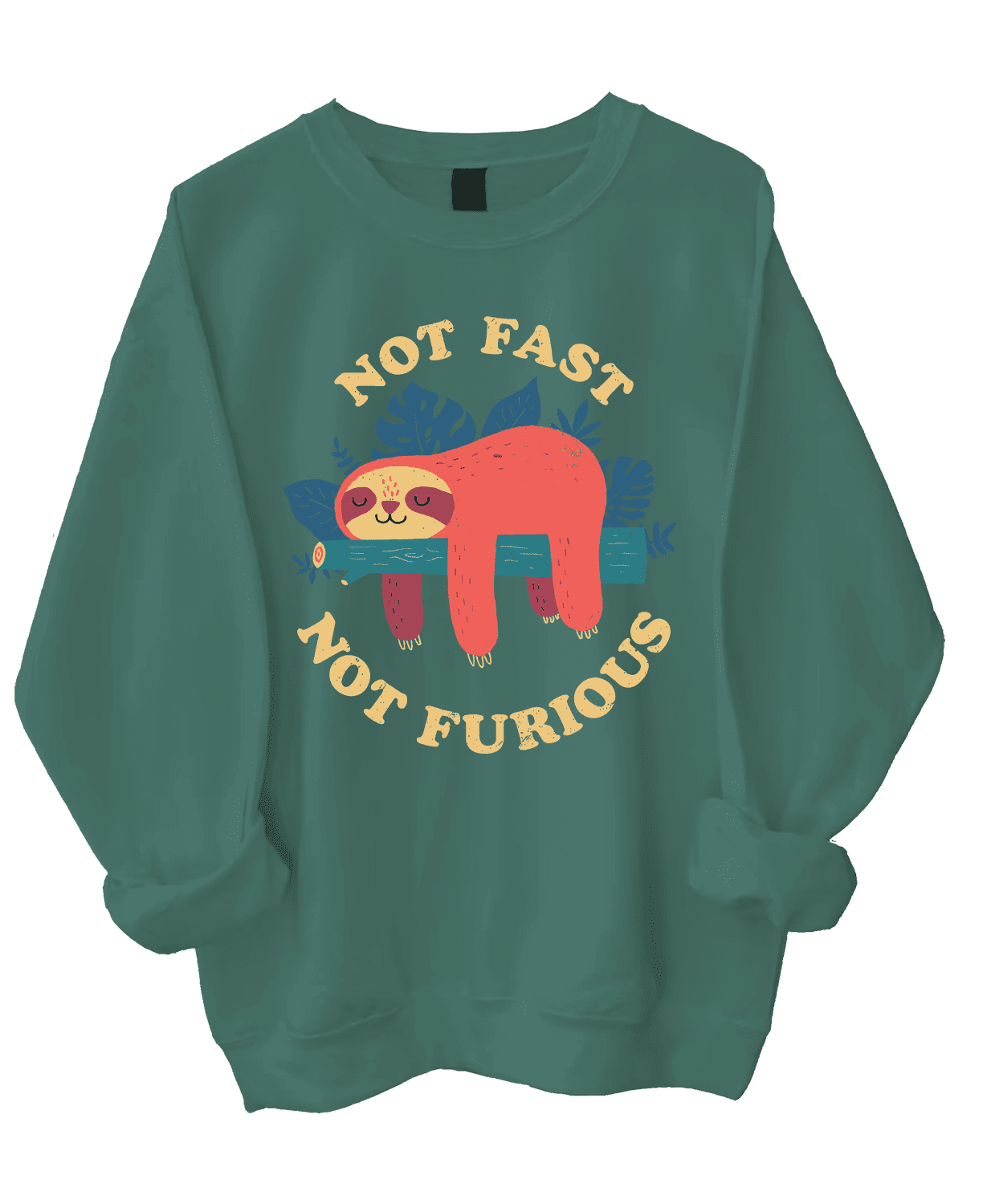 Not Fast Not Furious Sweatshirt, Not Fast Not Furious, Not Fast Not ...