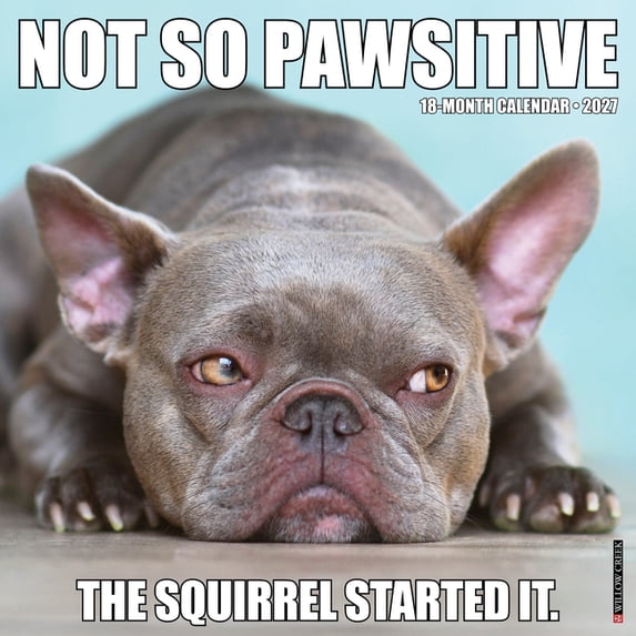 Not So Pawsitive 12 X 12 Wall Calendar, (Paperback) - Walmart.com