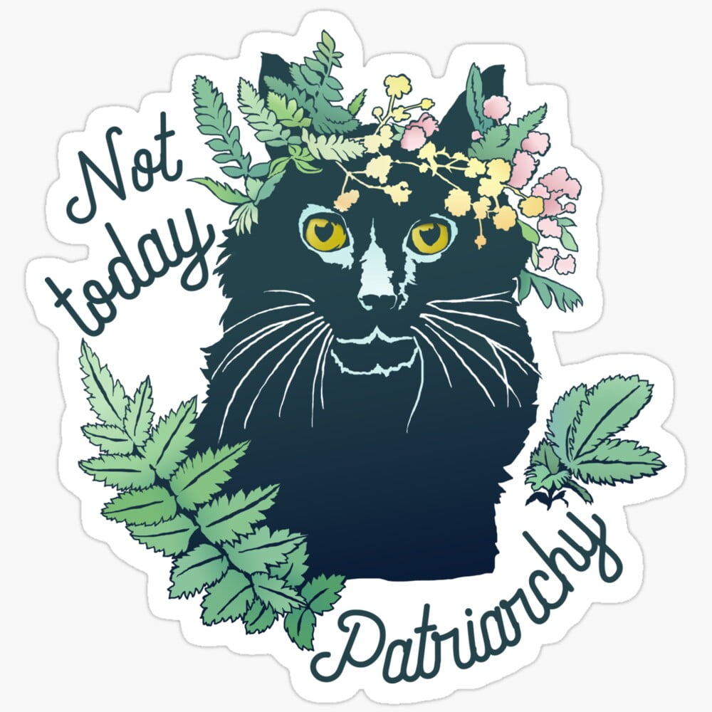 Not Today Patriarchy Sticker Phone Decal Water Bottle Stickers Car ...