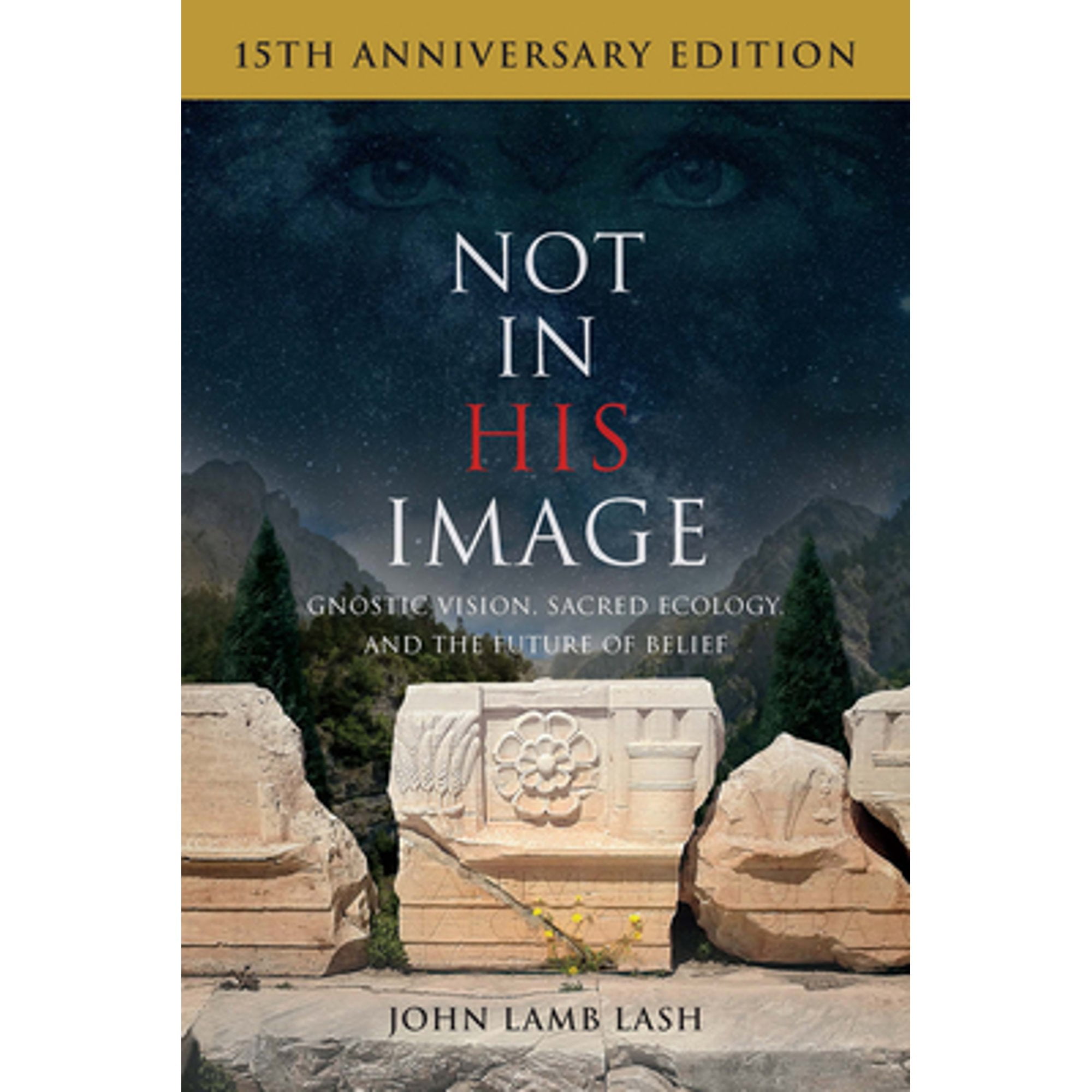 Pre-Owned Not in His Image (15th Anniversary Edition): Gnostic Vision, Sacred Ecology, and the ...
