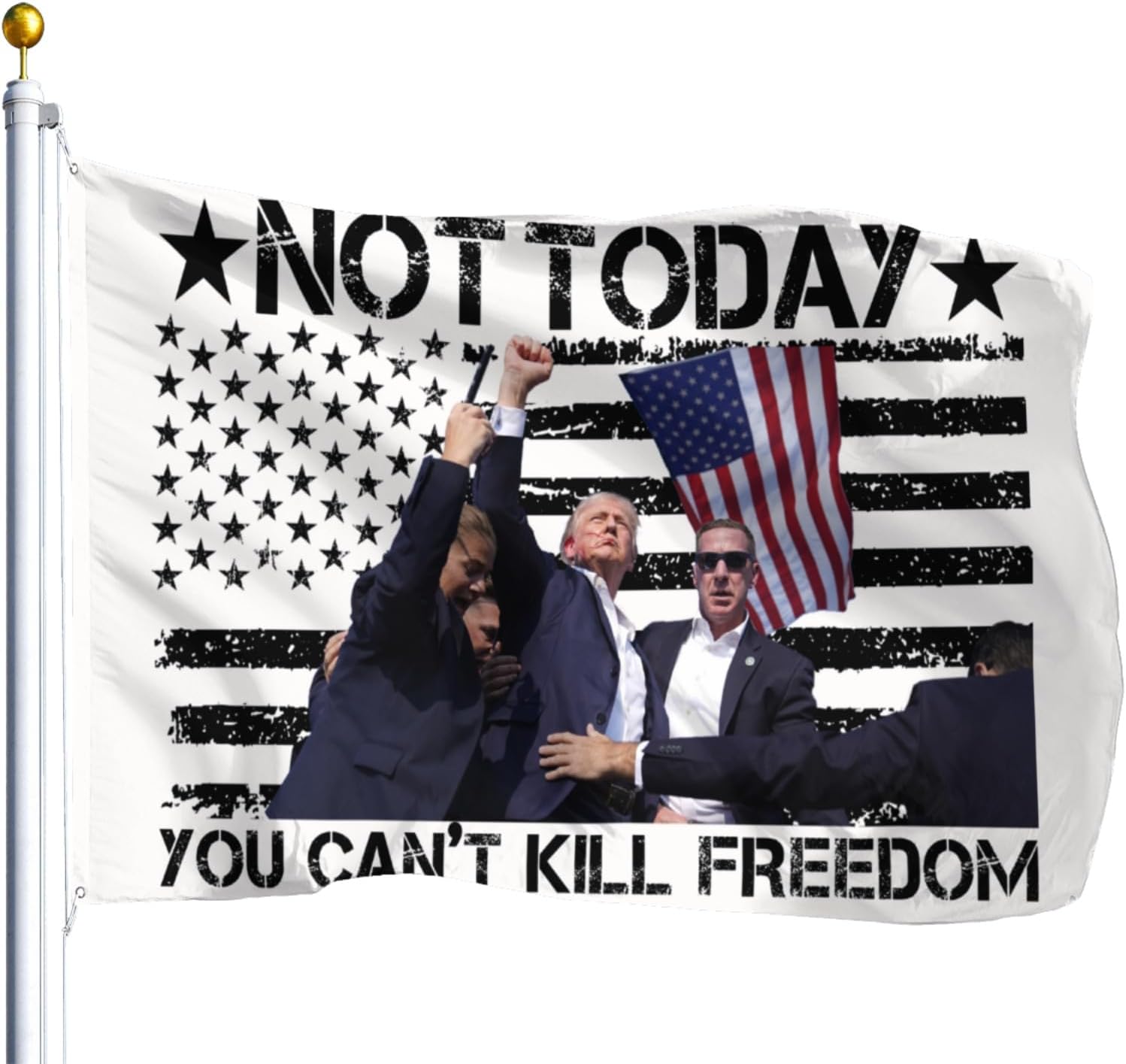 Not today you can't kill freedom Funny Flags Flags, Funny Flags Trippy ...